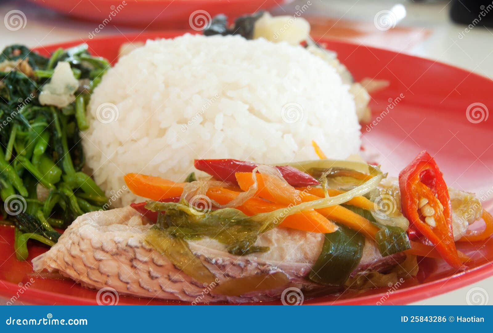 Fish with rice stock photo. Image of lunch, ethnic, spring - 25843286