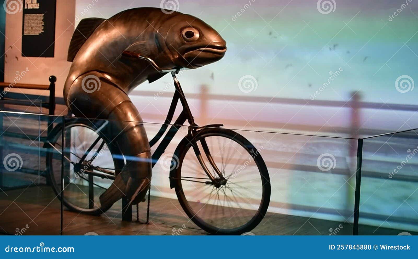 Fish Riding a Bike on the Ship Stock Footage - Video of bicycle, animal ...