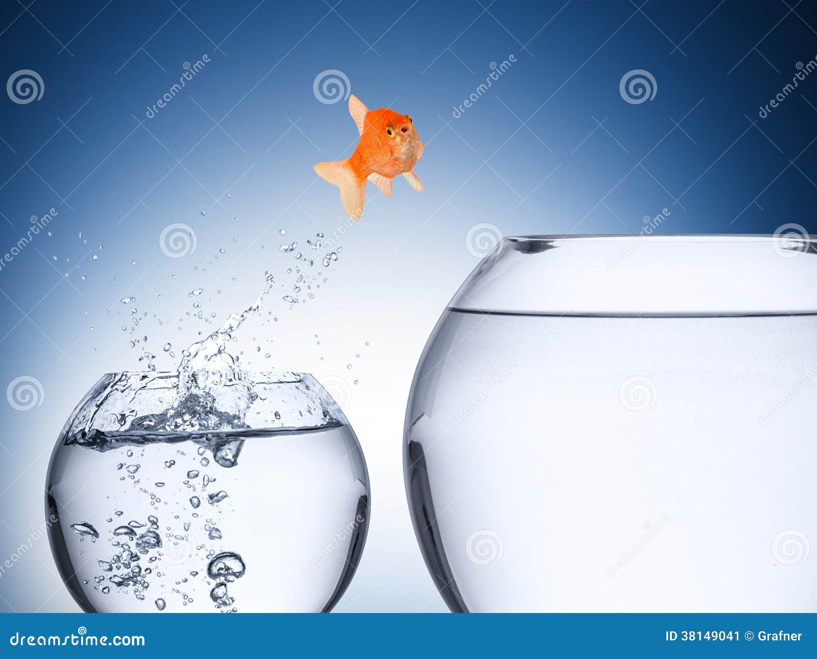 Fish rise concept stock image. Image of hrungspersapara - 38149041