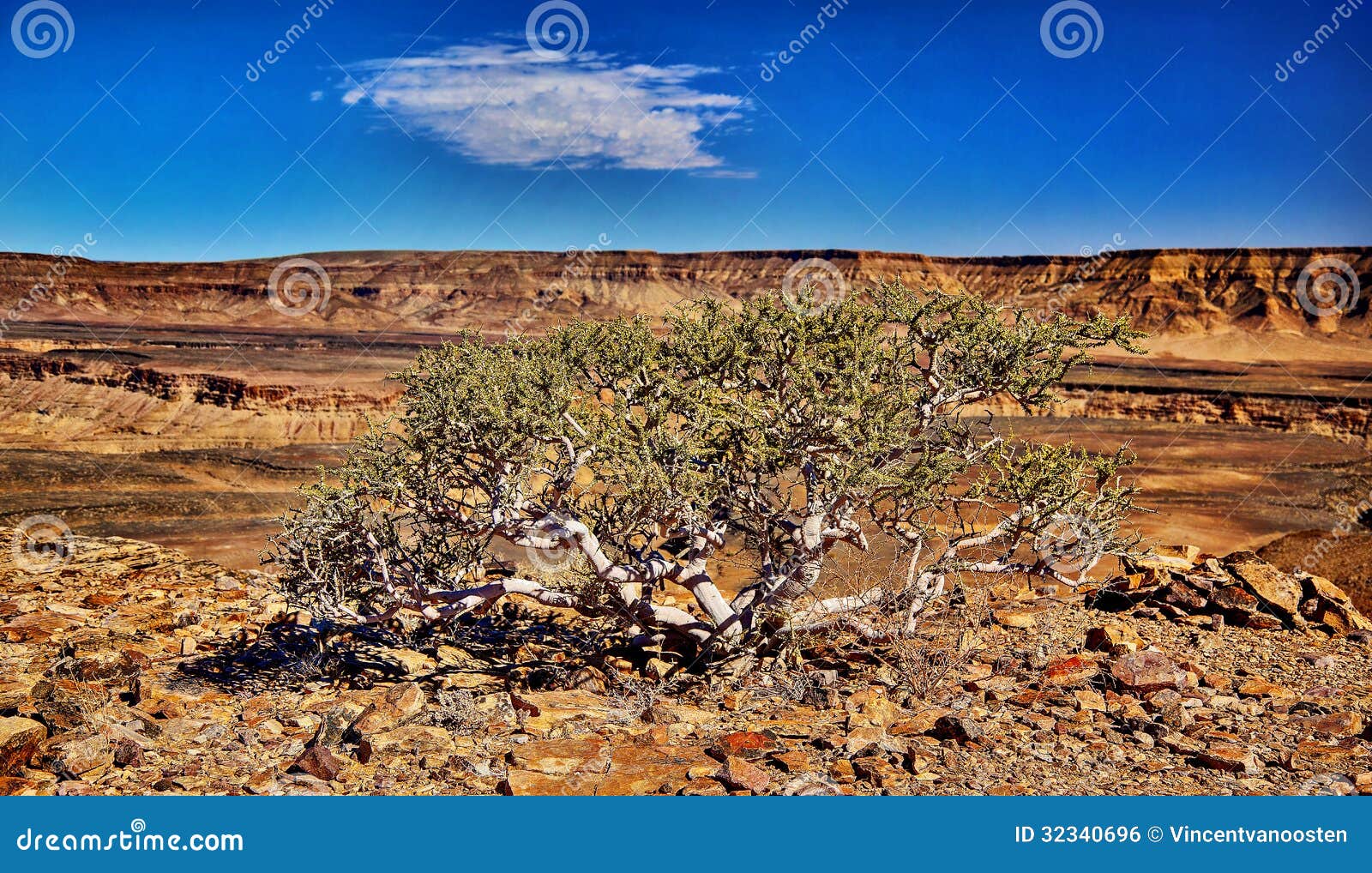 Fish River Canyon stock photo. Image of canyon, namibia - 32340696