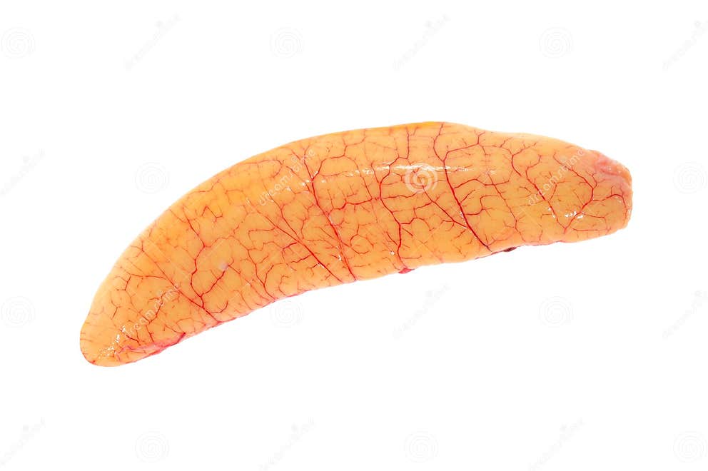 Fish Roe stock image. Image of ingredient, treat, seafood - 20529673
