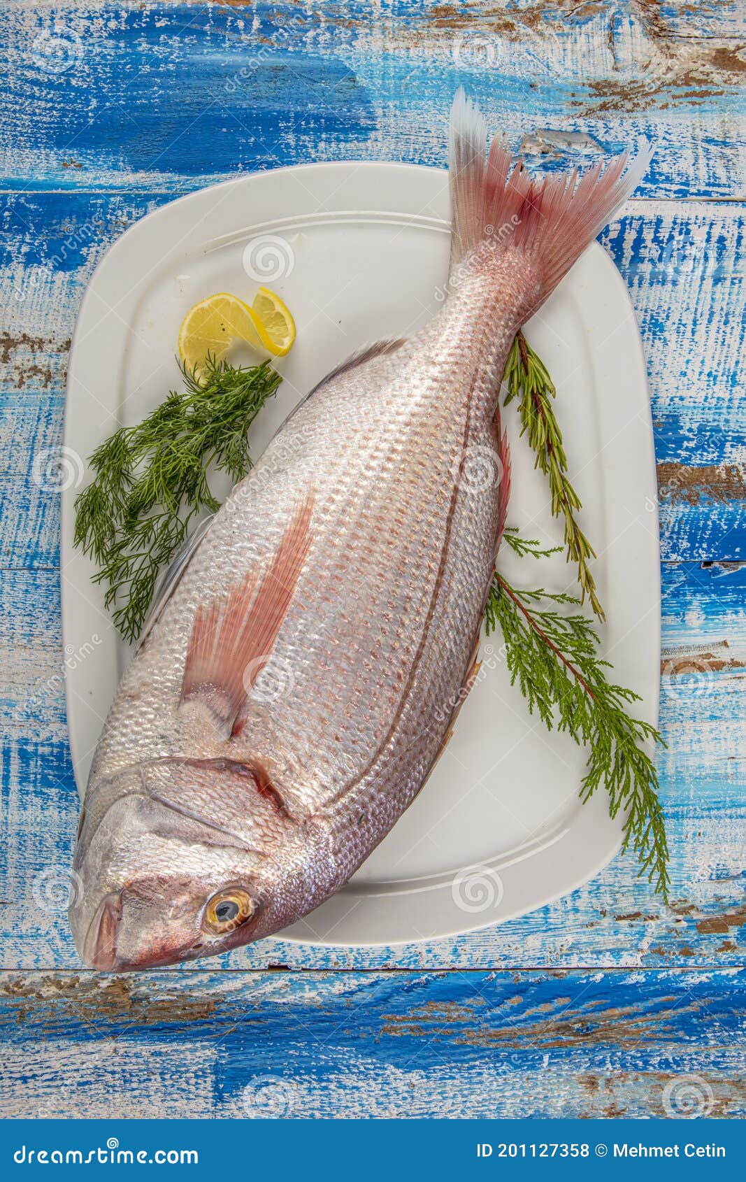 Fish on a Rustic Wooden Floor - Common Dentex , Pink Dentex, Dentex ...