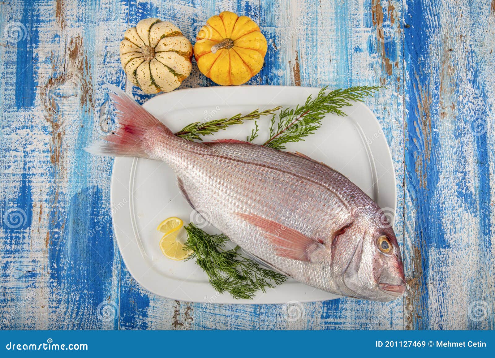 Fish on a Rustic Wooden Floor - Common Dentex , Pink Dentex, Dentex ...