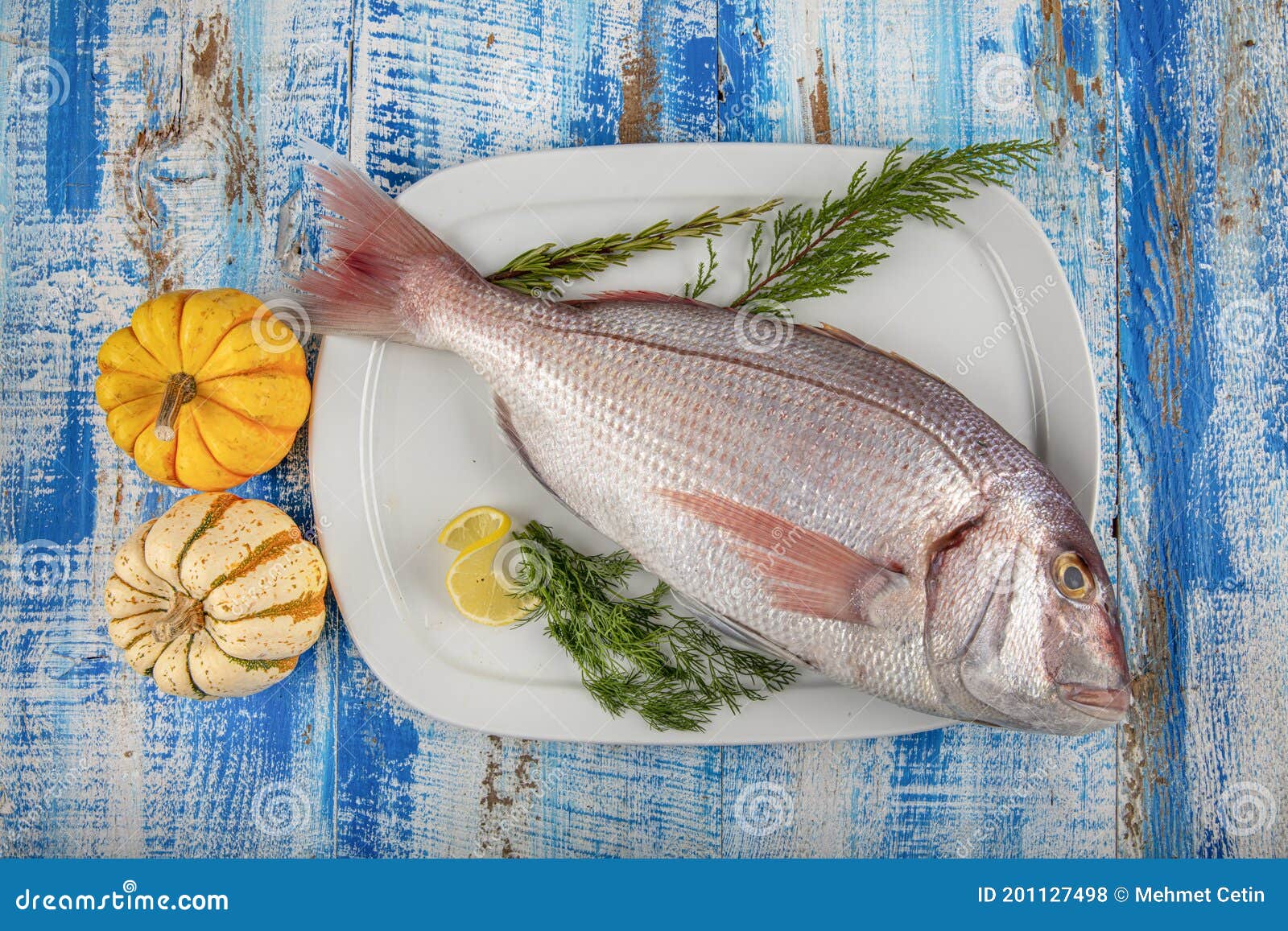 Fish on a Rustic Wooden Floor - Common Dentex , Pink Dentex, Dentex ...
