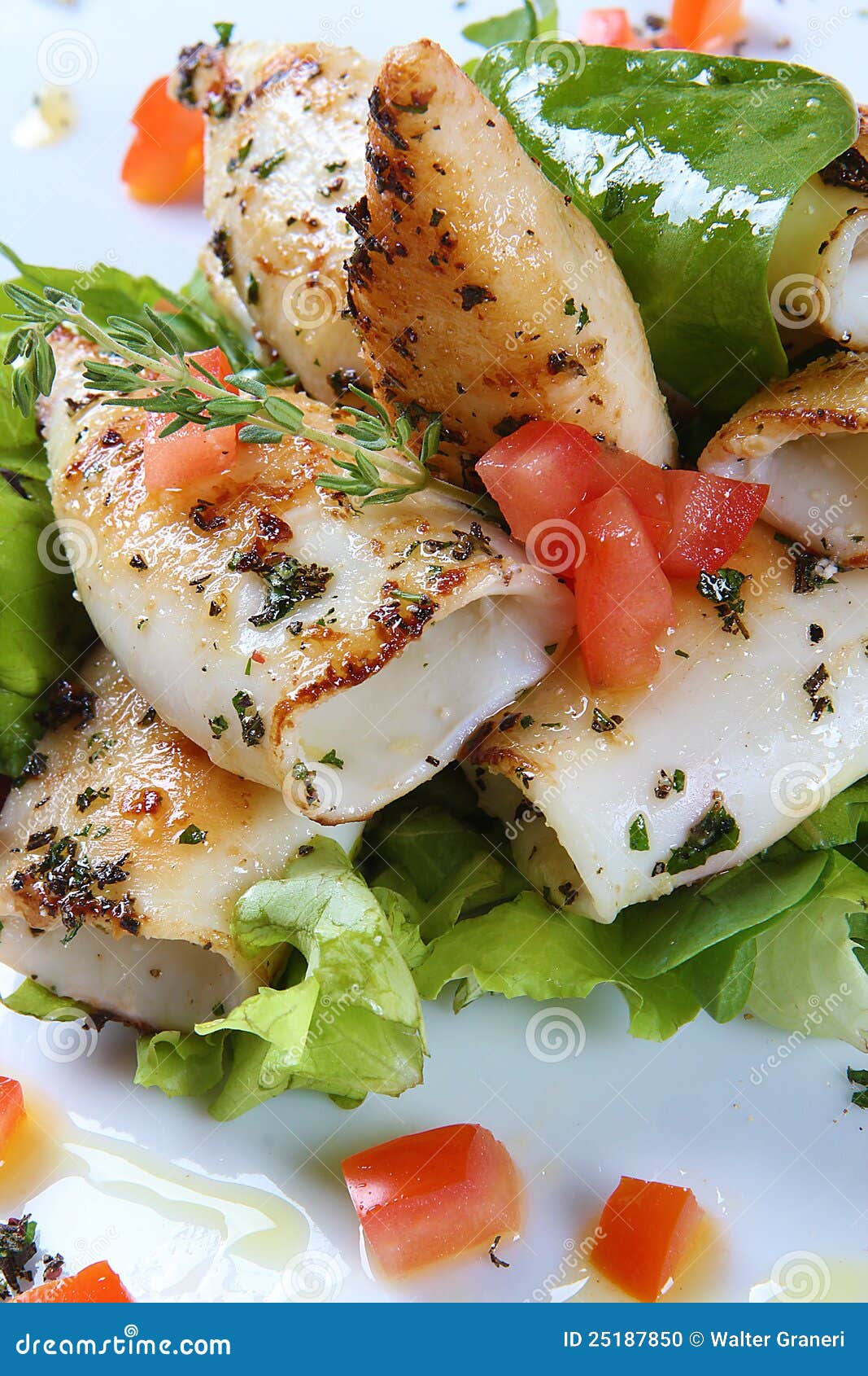 Fish Salad stock photo. Image of chef, garnishes, olive - 25187850