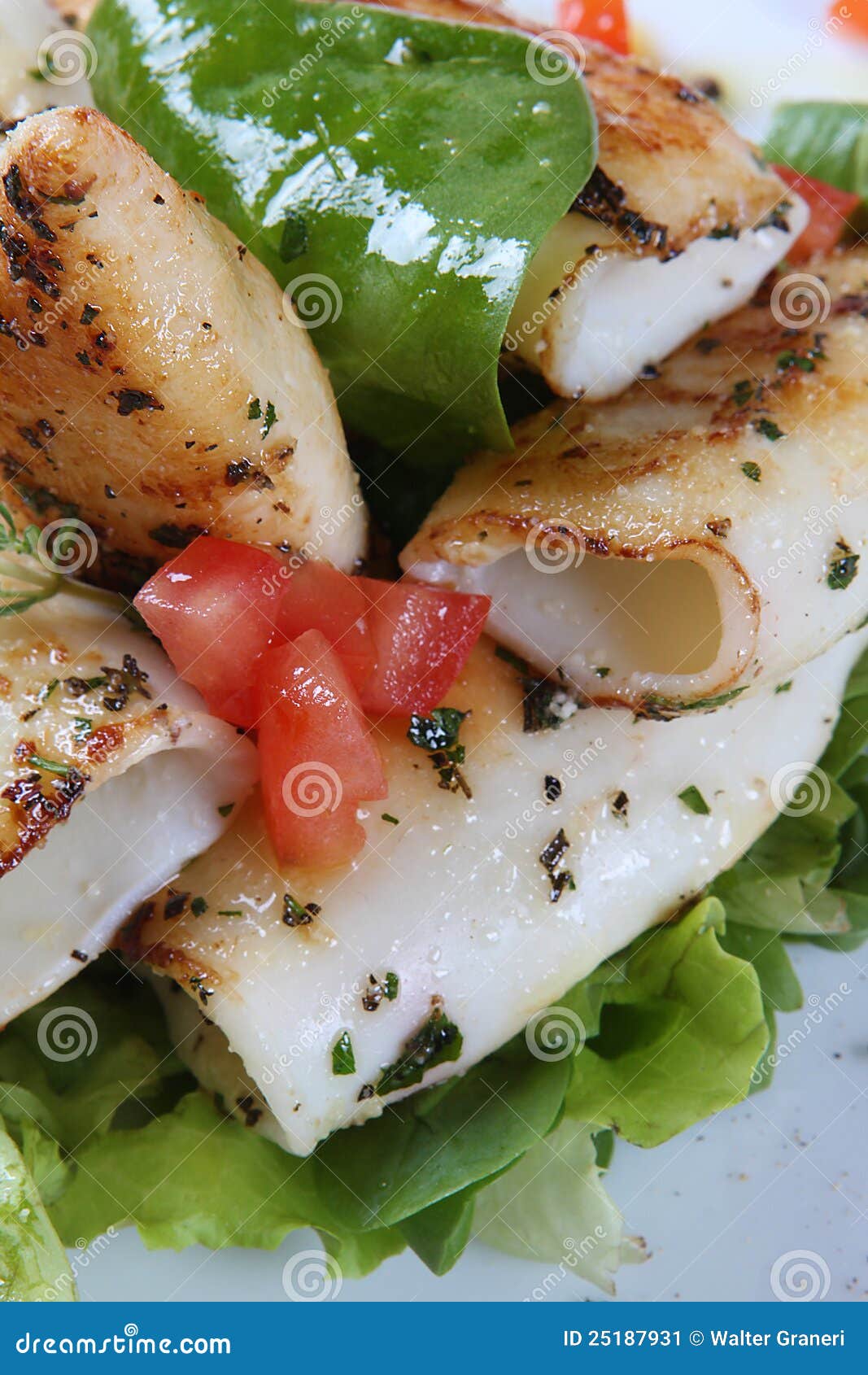 Fish Salad stock image. Image of shape, extra, chef, fresh - 25187931