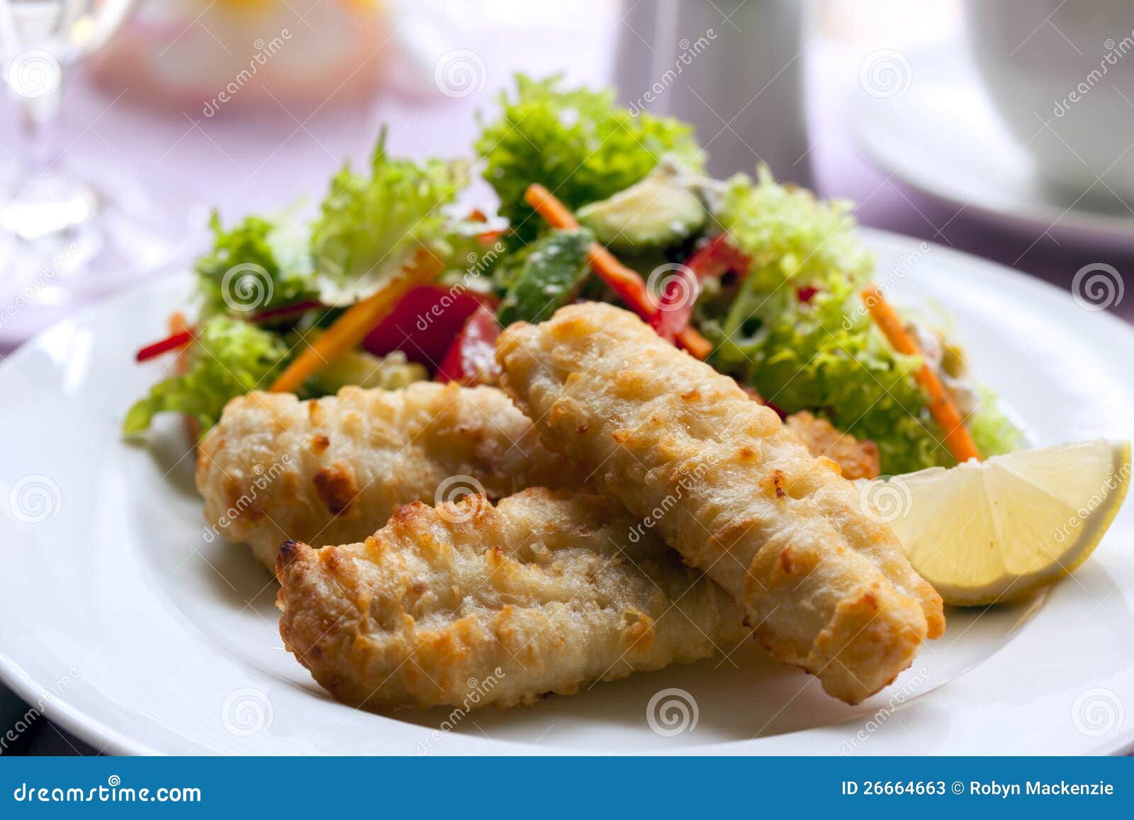 Fish and Salad stock image. Image of batter, horizontal - 26664663