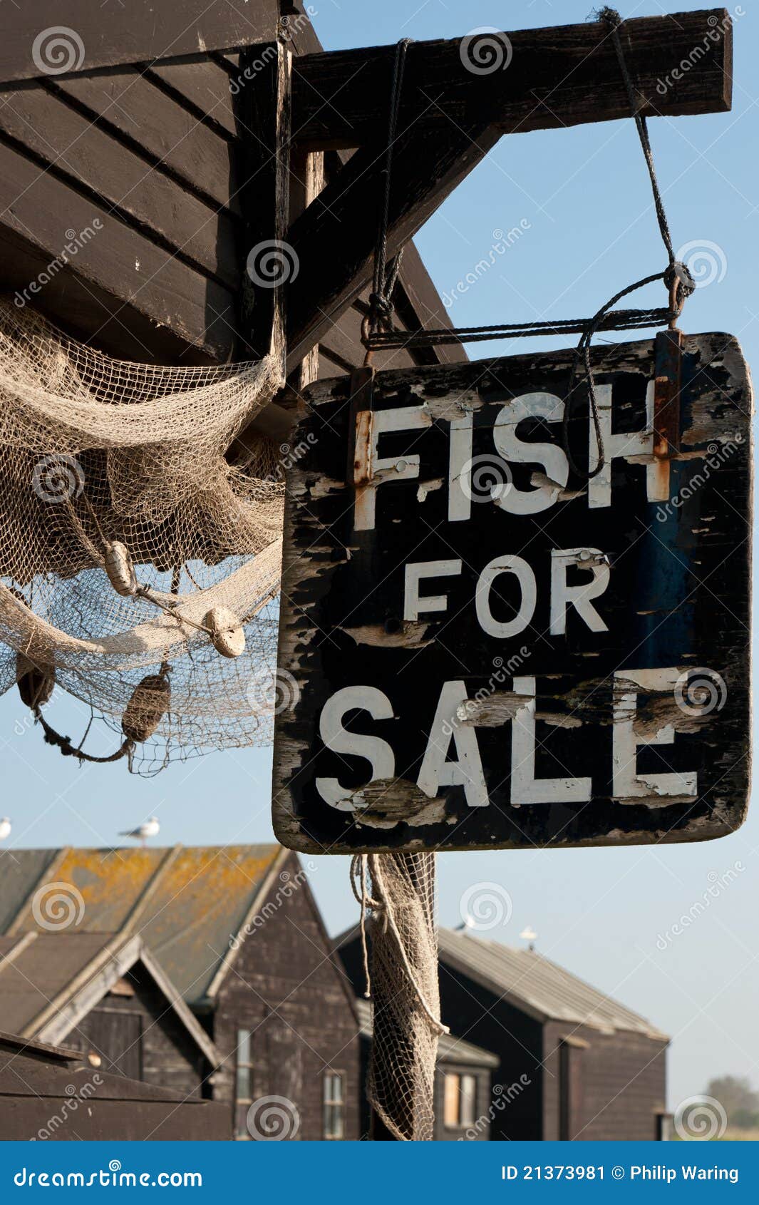 Fish for Sale stock image. Image of harbour, notice, quayside - 21373981