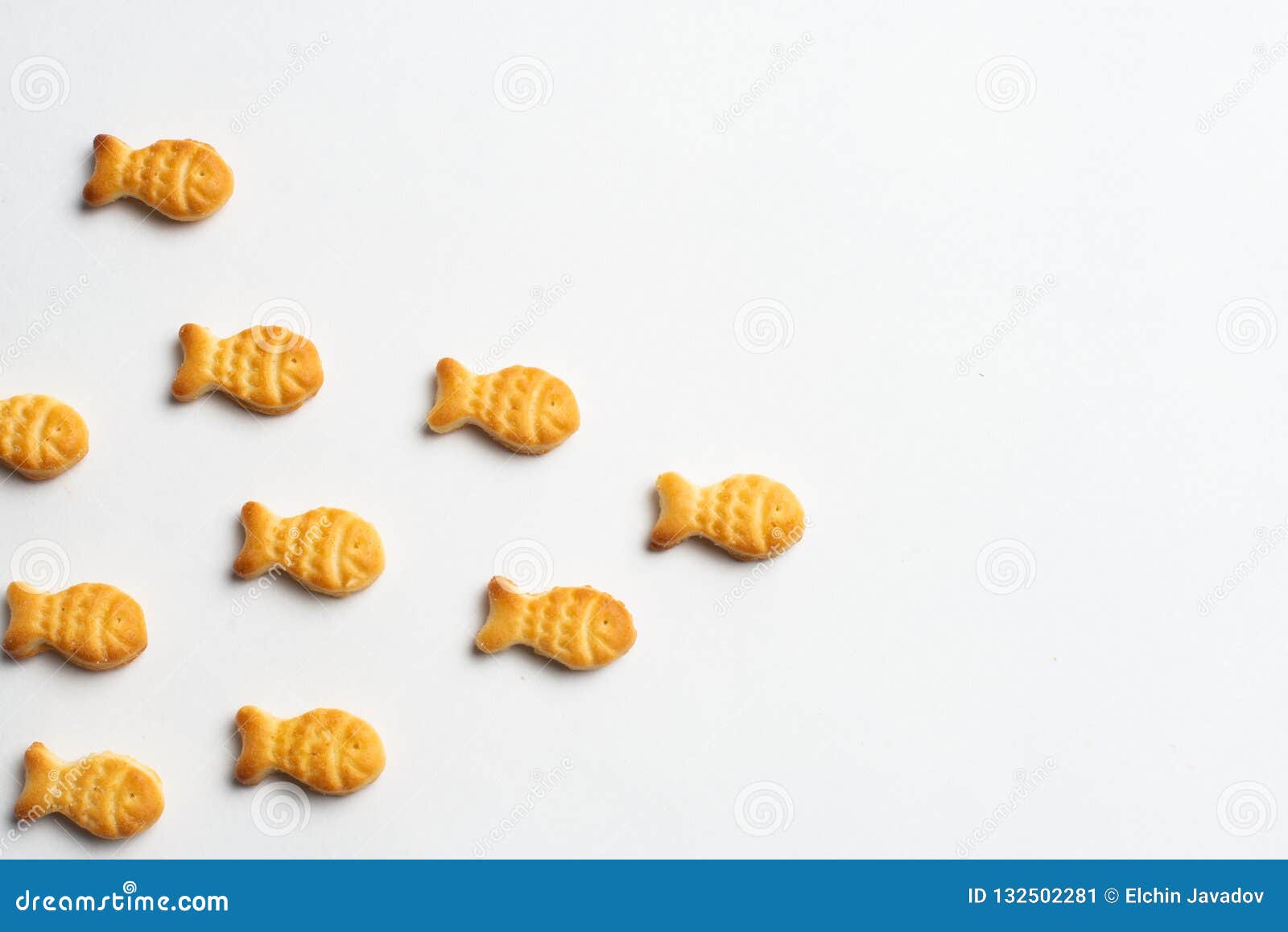 Fish Salty Crackers, Salty Crackers in Shape of Fish, Extreme Cl Stock ...