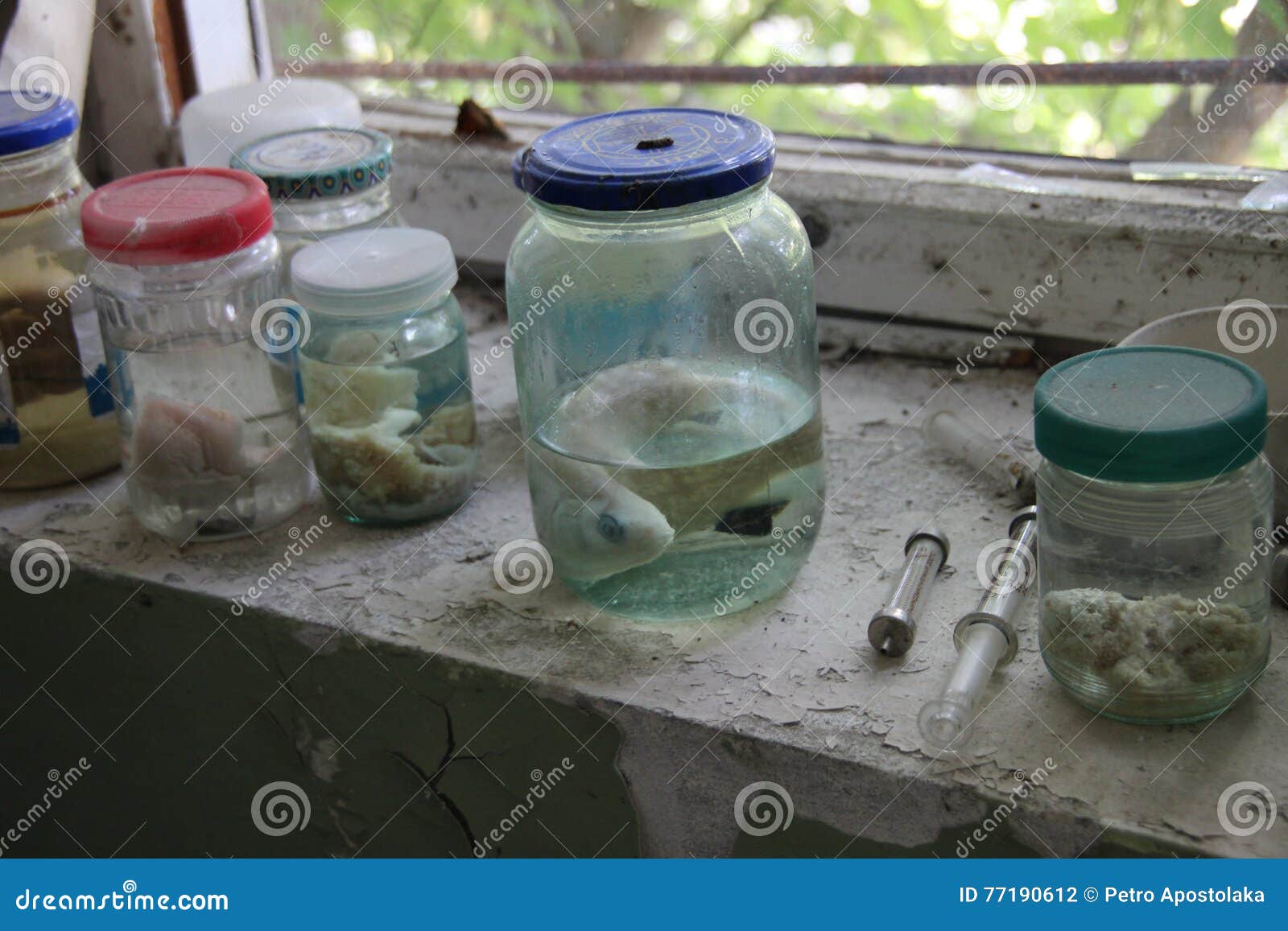 Fish Samples Editorial Image | CartoonDealer.com #38961696