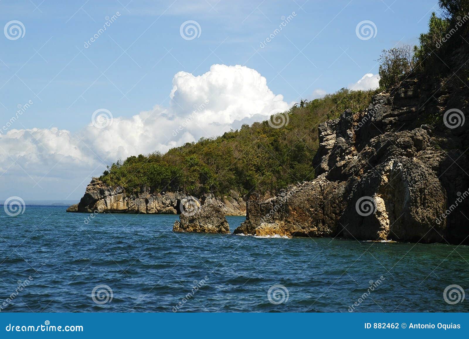 Fish Sanctuary stock photo. Image of white, philippine - 882462