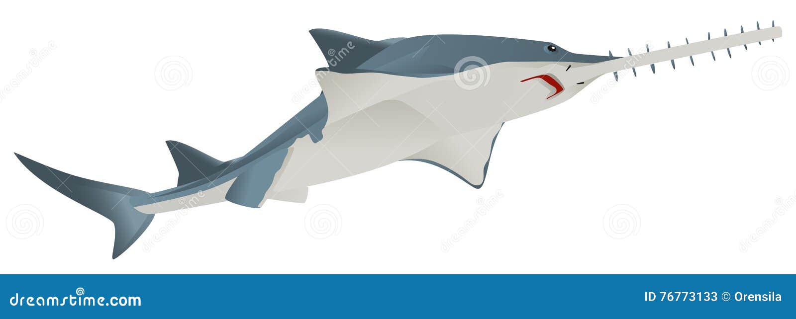 Sawfish Cartoons, Illustrations & Vector Stock Images - 170 Pictures to ...