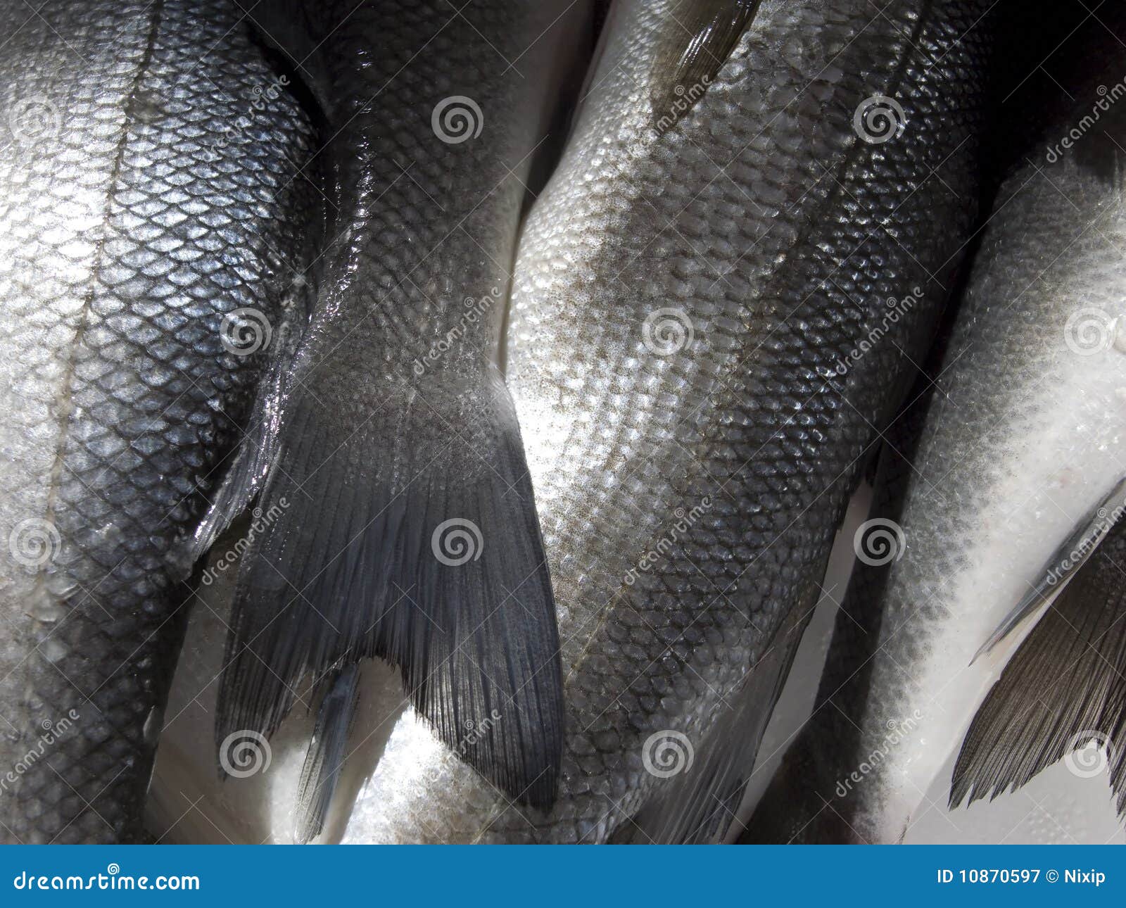 Fish scale stock image. Image of pattern, food, texture - 10870597