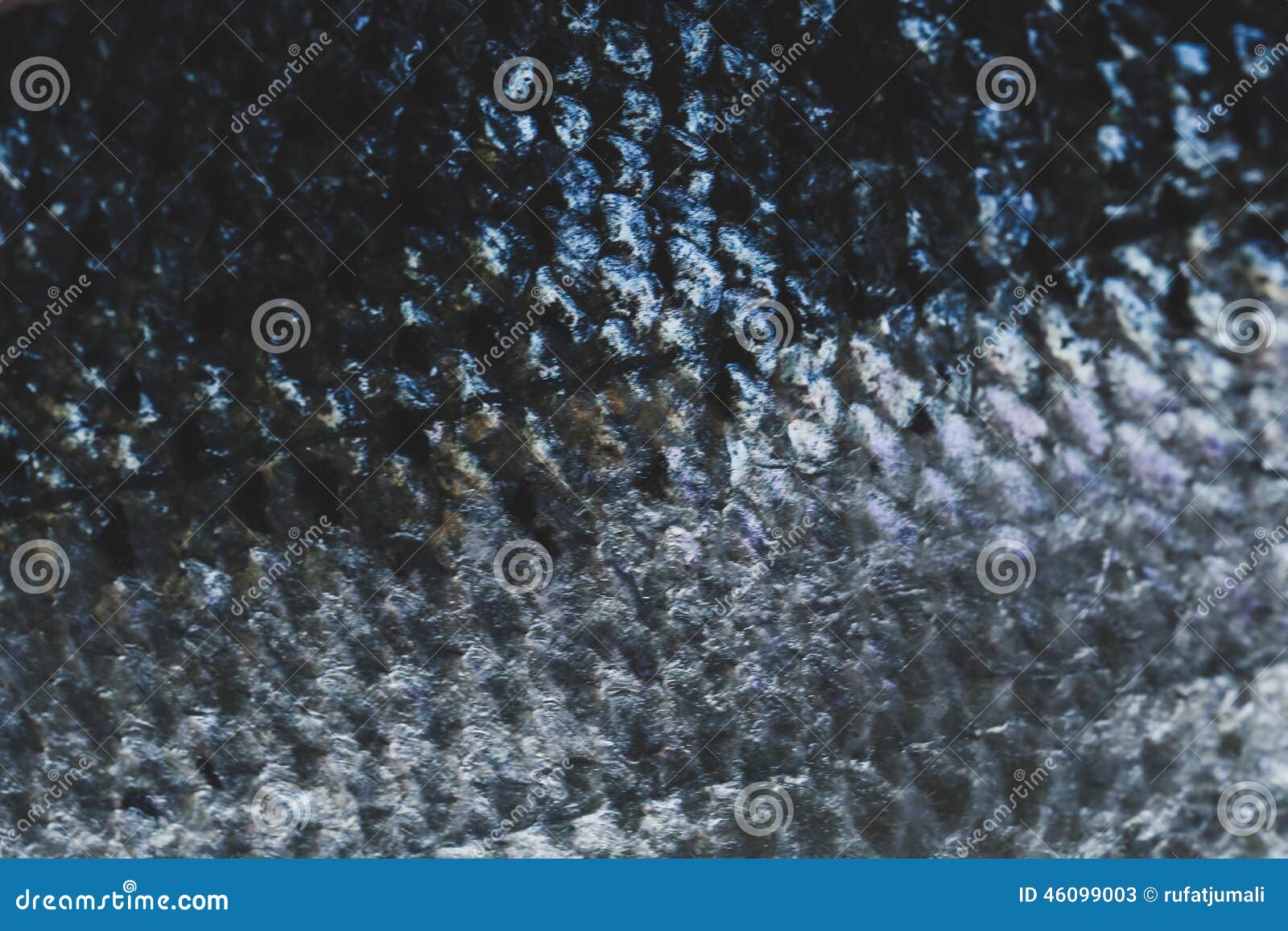 Fish scales stock image. Image of slice, prepare, meal - 46099003