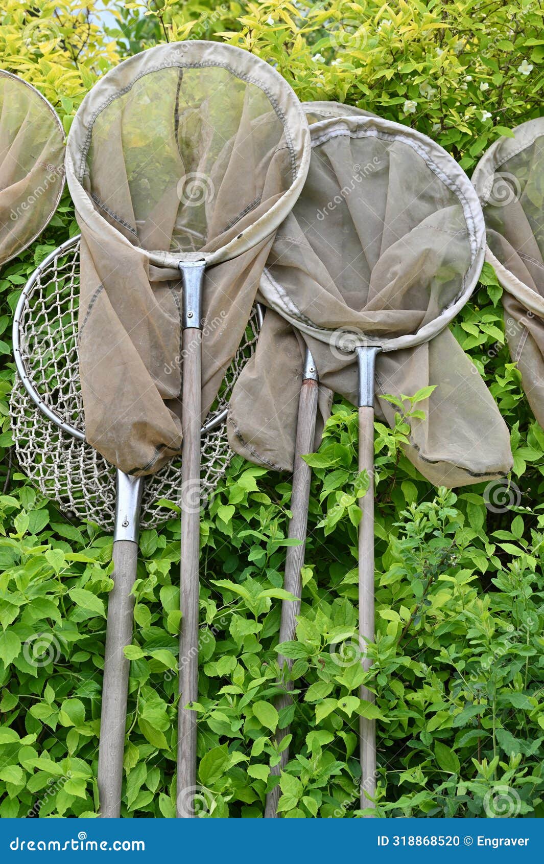 Fish Scoop Net Large Grup Objects Stock Photo - Image of shovel ...