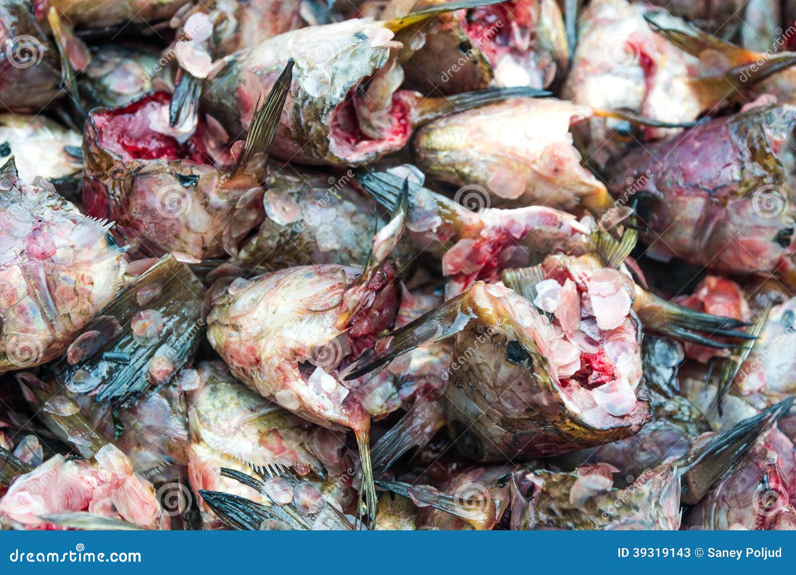 Fish scraps stock image. Image of peelings, vegetable - 39319143