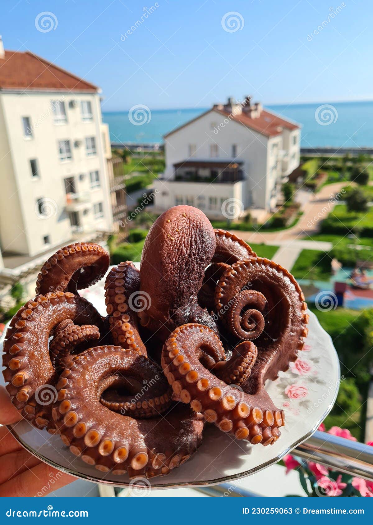Fish sea octopus house sky stock image. Image of dish - 230259063