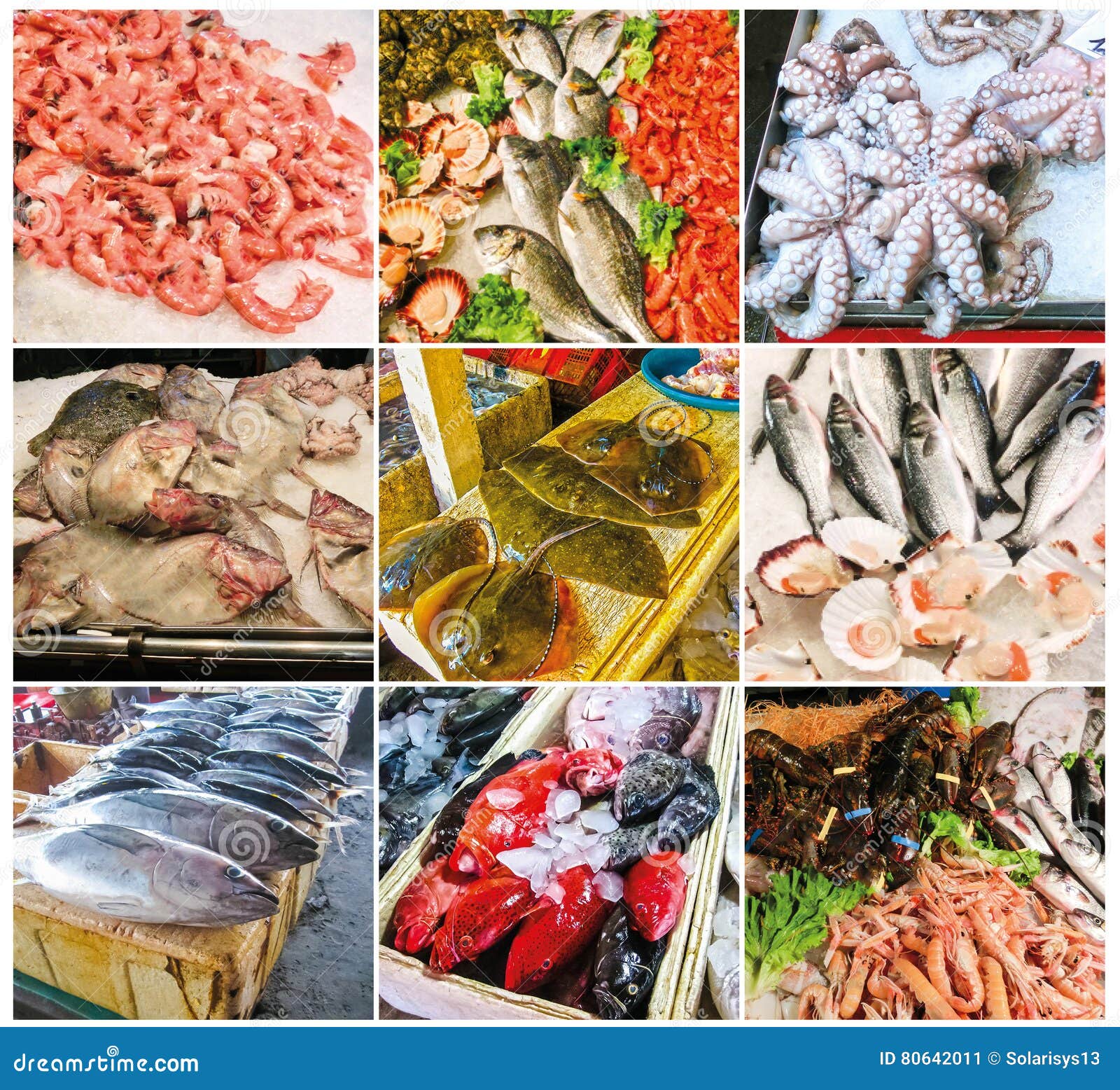 Fish and seafood collage stock image. Image of prawn - 80642011
