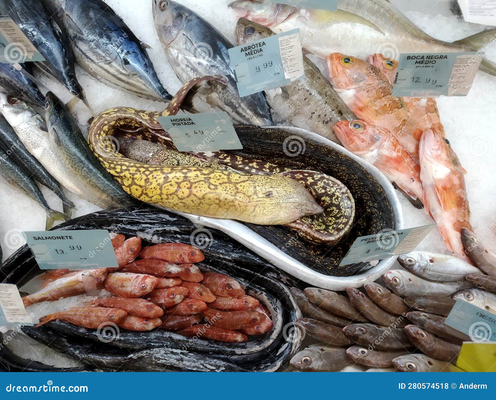 Fish at the Seafood Counter and Price Tags Stock Photo - Image of ...
