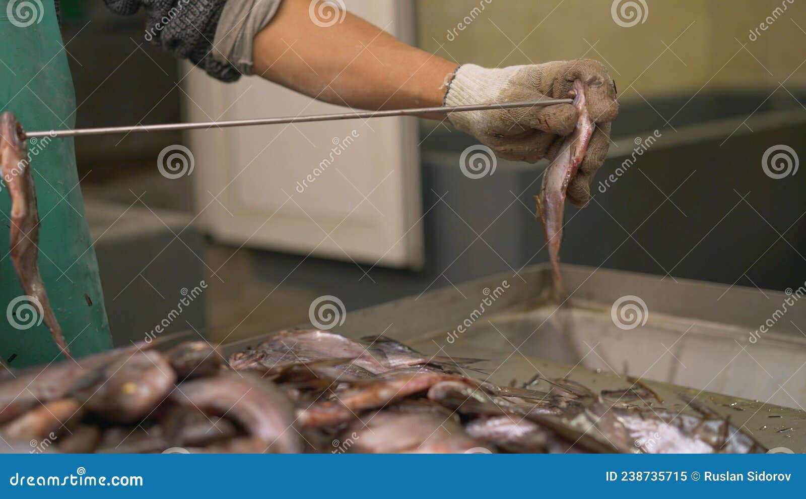 Fish Seafood Factory. Cod Fish Processing in a Fish Industry. Fish ...