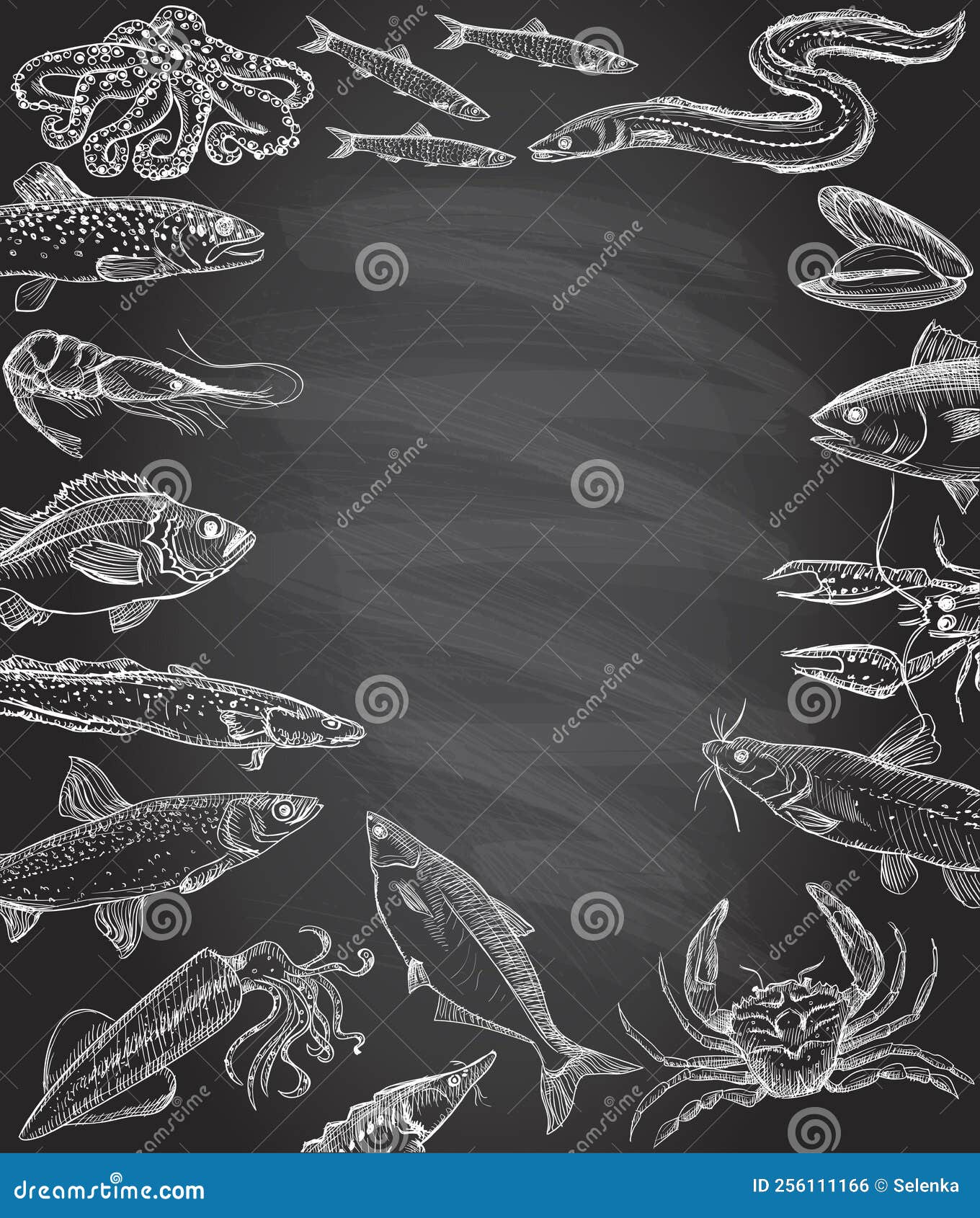 Fish and Seafood Frame on a Chalkboard Template, Hand Drawn Graphic ...
