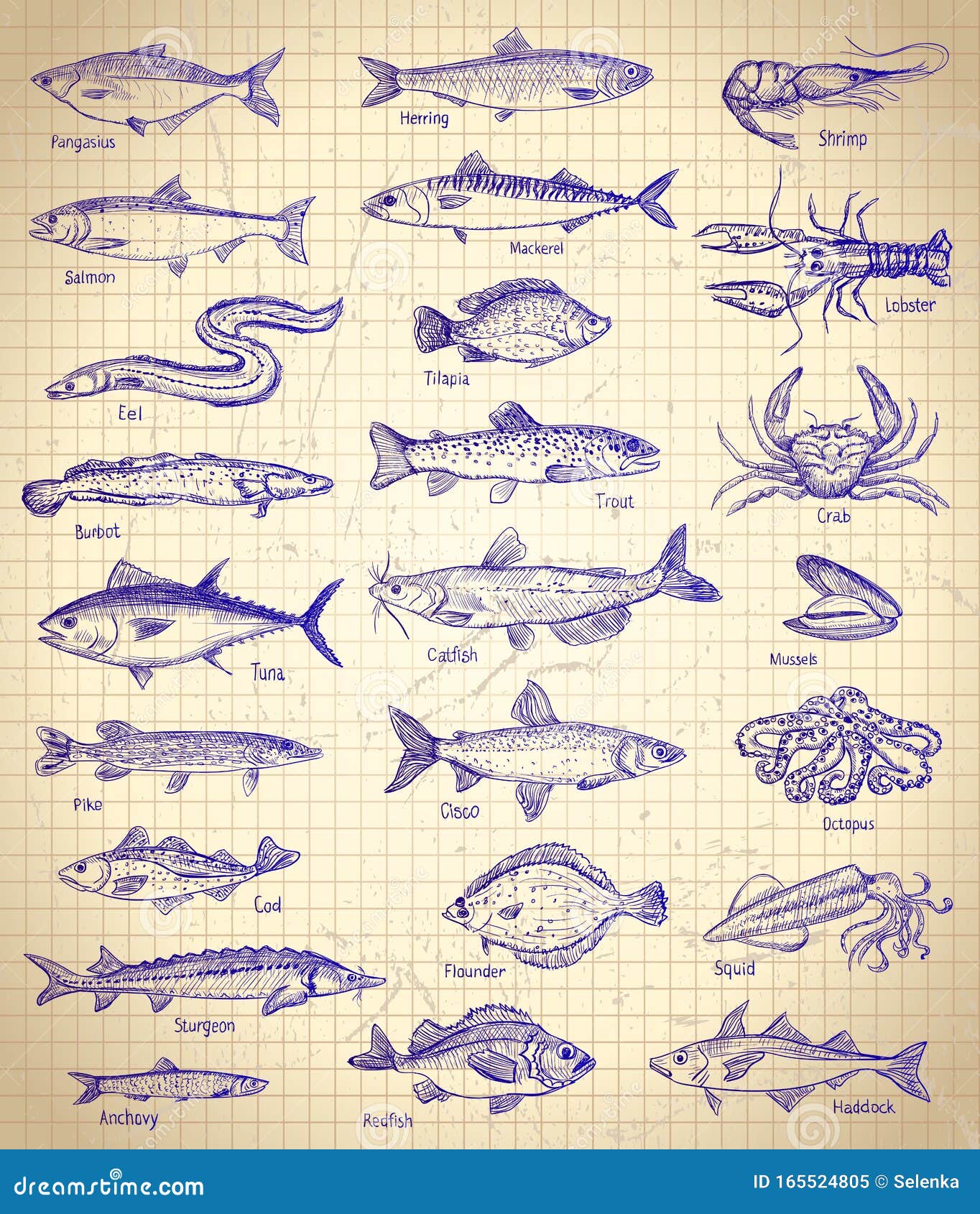 Fish And Seafood Graphic Illustration Set Cartoon Vector ...