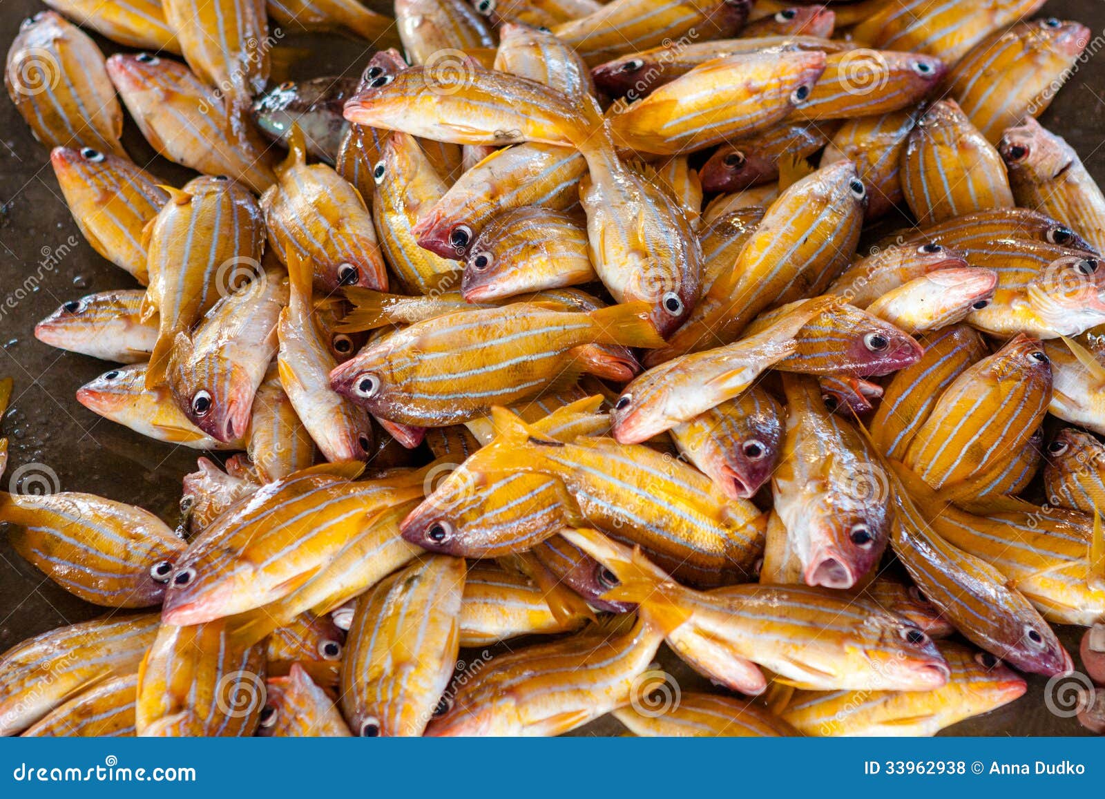 Fish and Seafood at Seamarket in Sri Lanka Stock Photo - Image of food ...