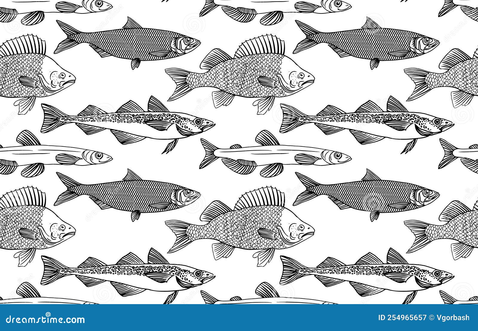 Fish Seamless Pattern. Perch, Capelin, Herring, Pollock, Shrimp Stock ...