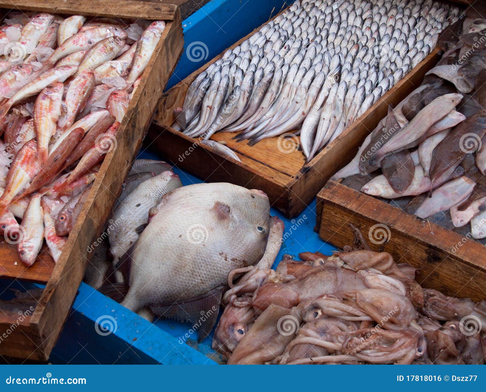 Fish selling stock photo. Image of market, package, marine - 17818016