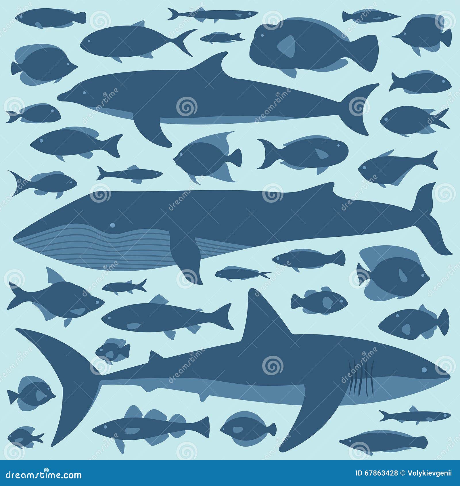 Fish Pacu Stock Illustrations – 28 Fish Pacu Stock Illustrations ...