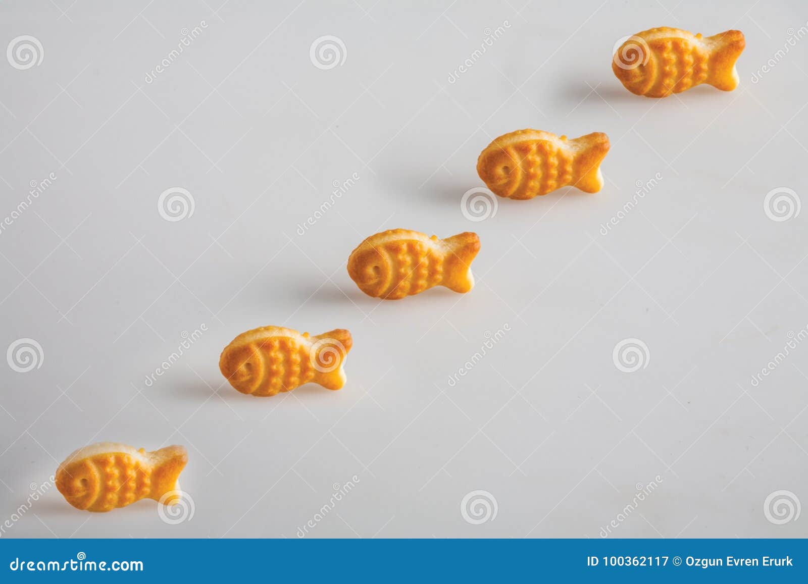 Fish-shaped biscuit stock image. Image of isolated, eating - 100362117