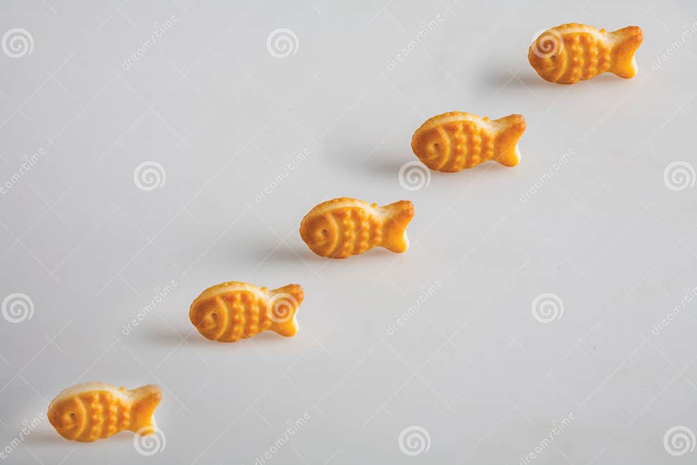 Fish-shaped biscuit stock image. Image of isolated, eating - 100362117