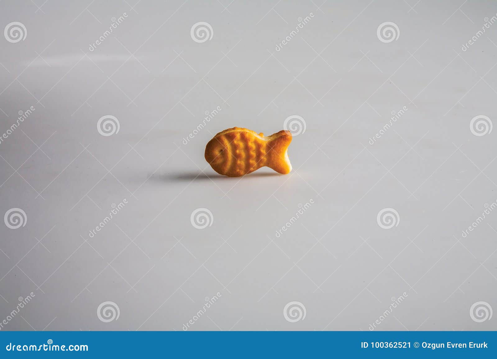 Fish-shaped biscuit stock image. Image of healthy, isolated - 100362521