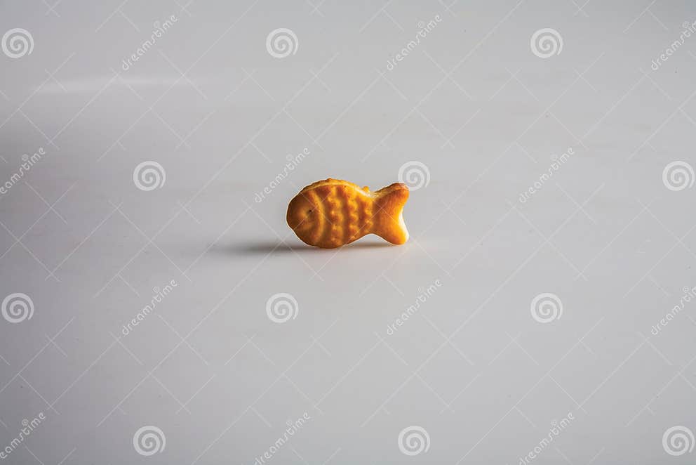 Fish-shaped biscuit stock image. Image of healthy, isolated - 100362521