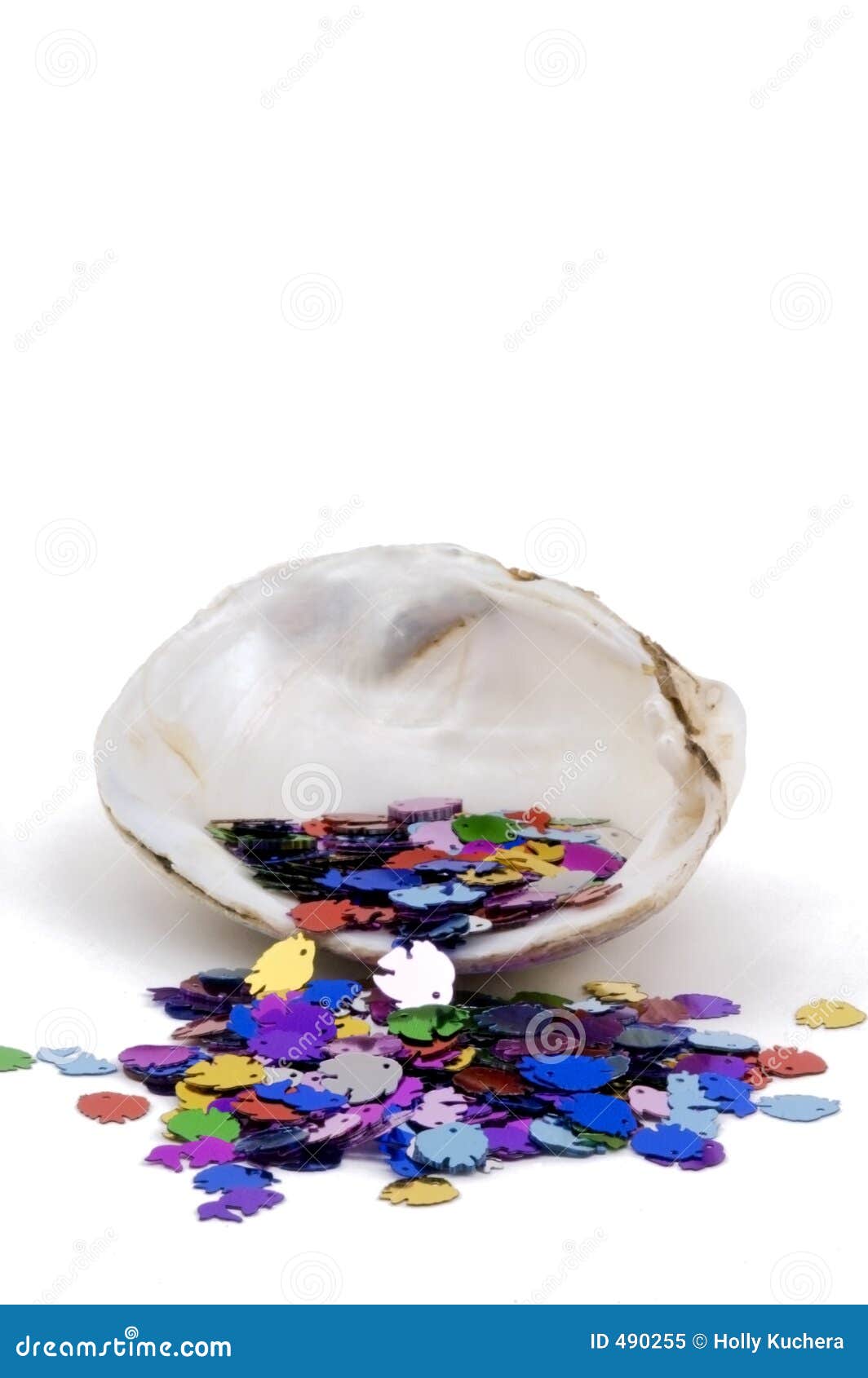 355 Fish Exoskeleton Stock Photos - Free & Royalty-Free Stock Photos ...