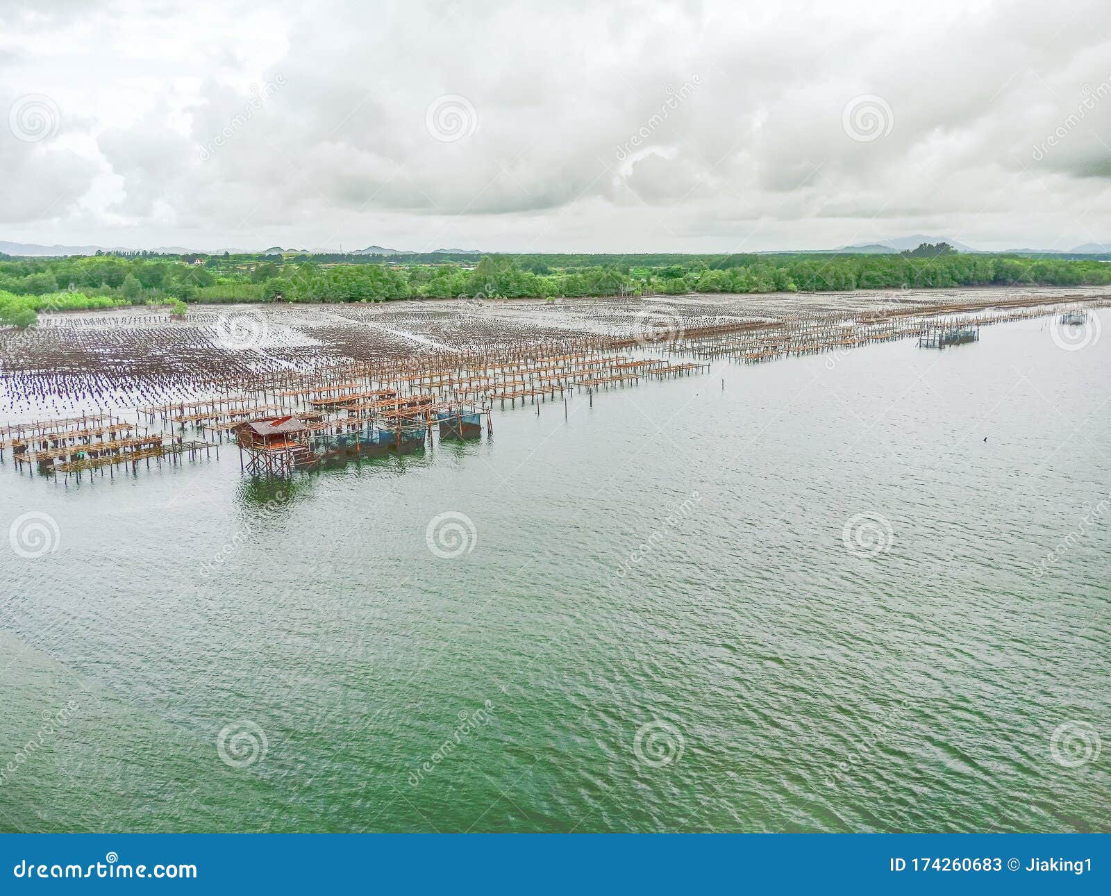 Fish and Shell Farm in River at Thailand Stock Image - Image of lake ...