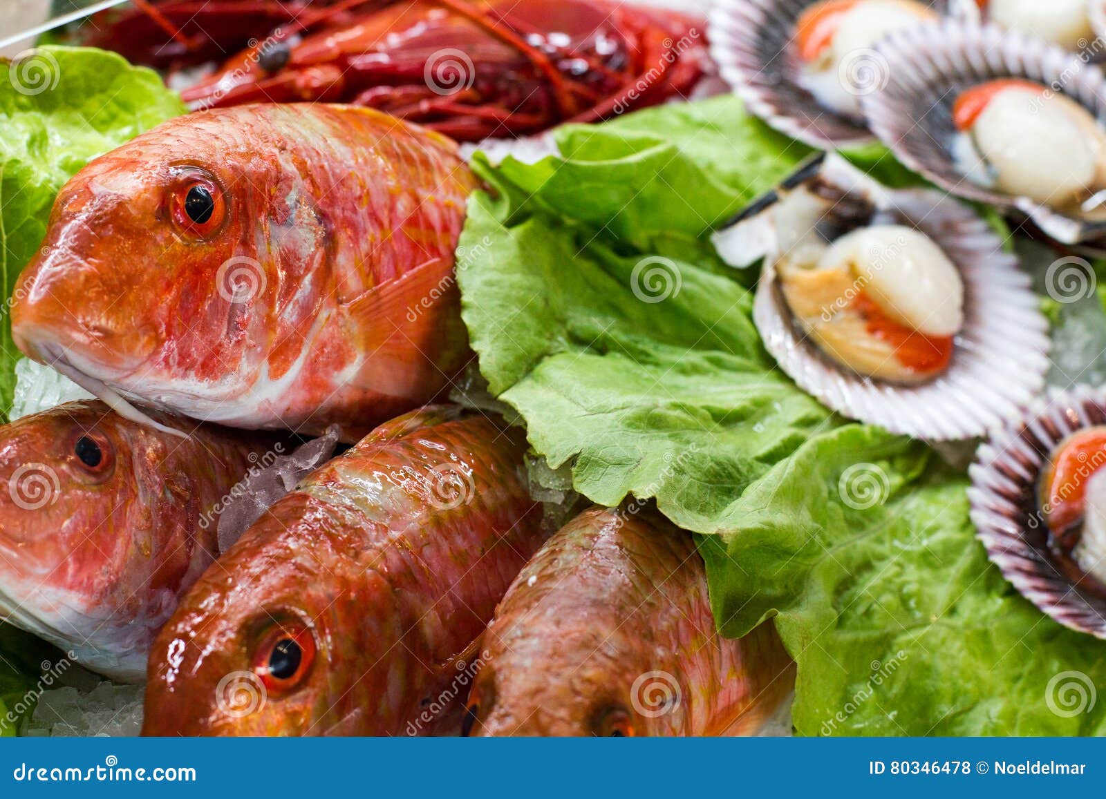 Fish and Shells at the Restaurant Stock Photo - Image of fried, dishes ...