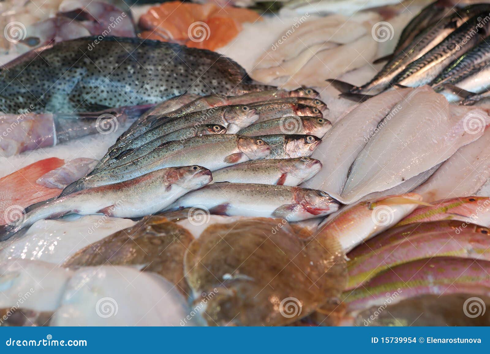 Fish shop stock photo. Image of delicacy, ocean, japan - 15739954