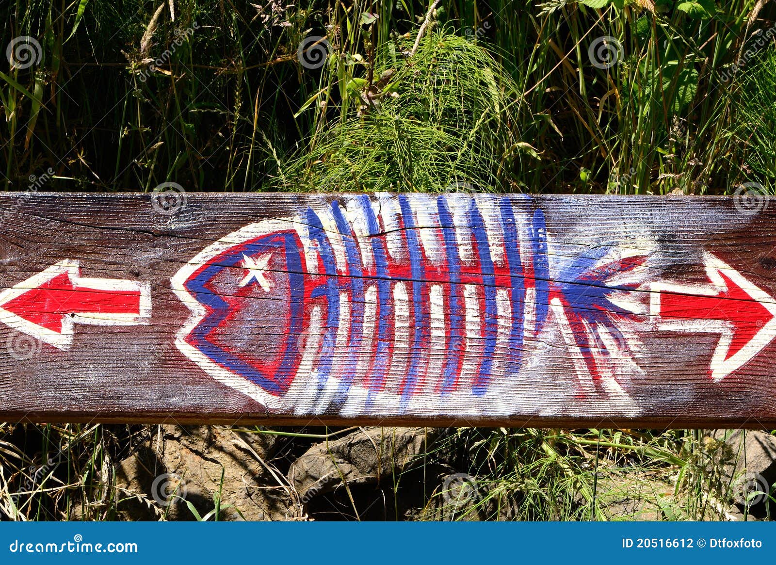 Fish Sign stock photo. Image of healthy, store, seafood - 20516612