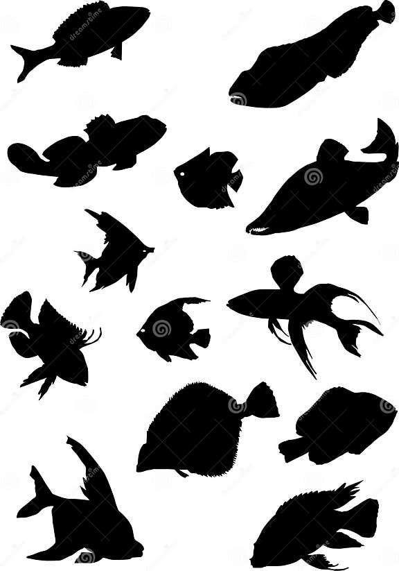 Fish Silhouettes Collection Stock Vector - Illustration of sketch, food ...
