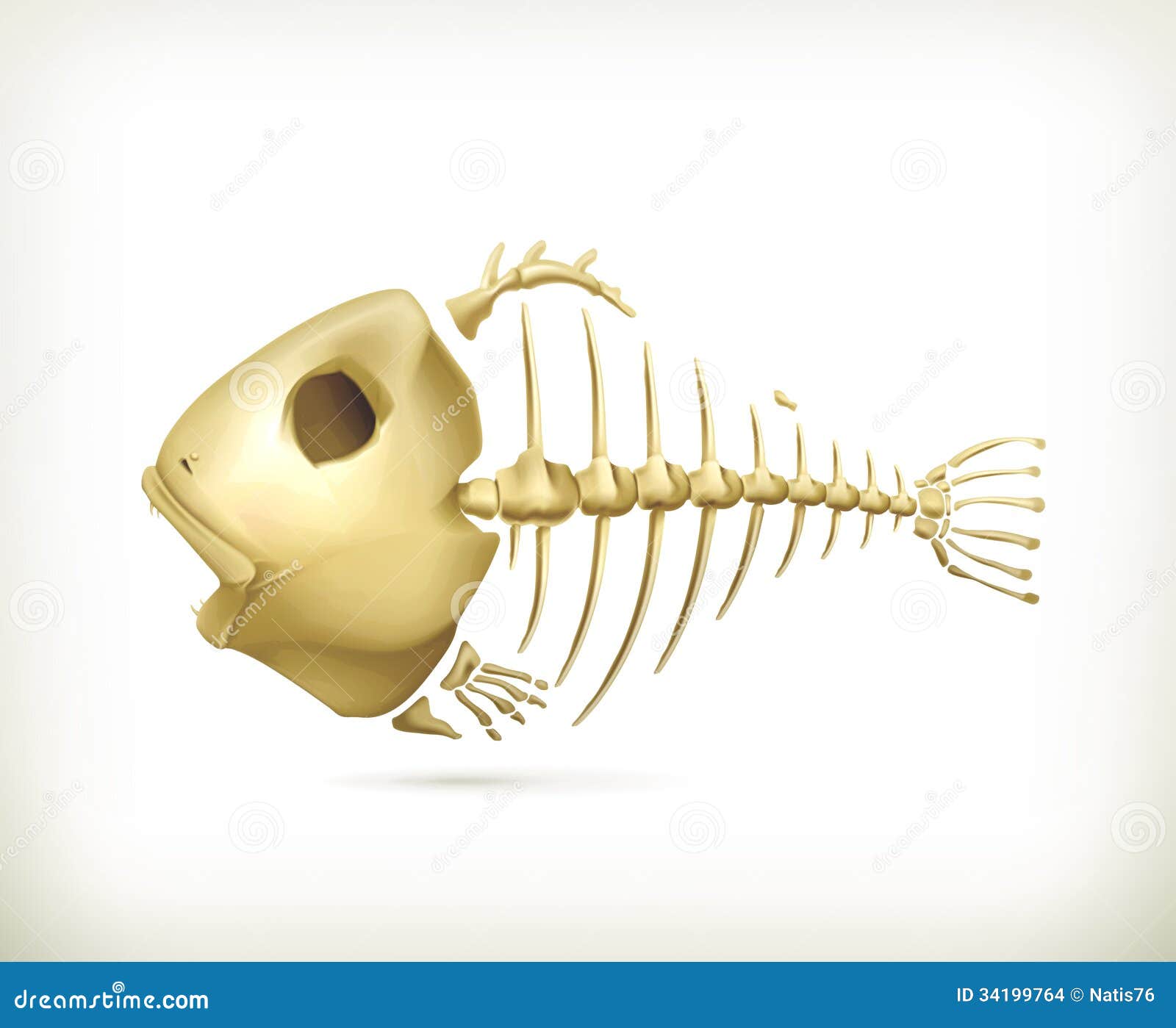 Fish Skeleton Black Icon, Scary Aqua Symbol Vector Illustration ...
