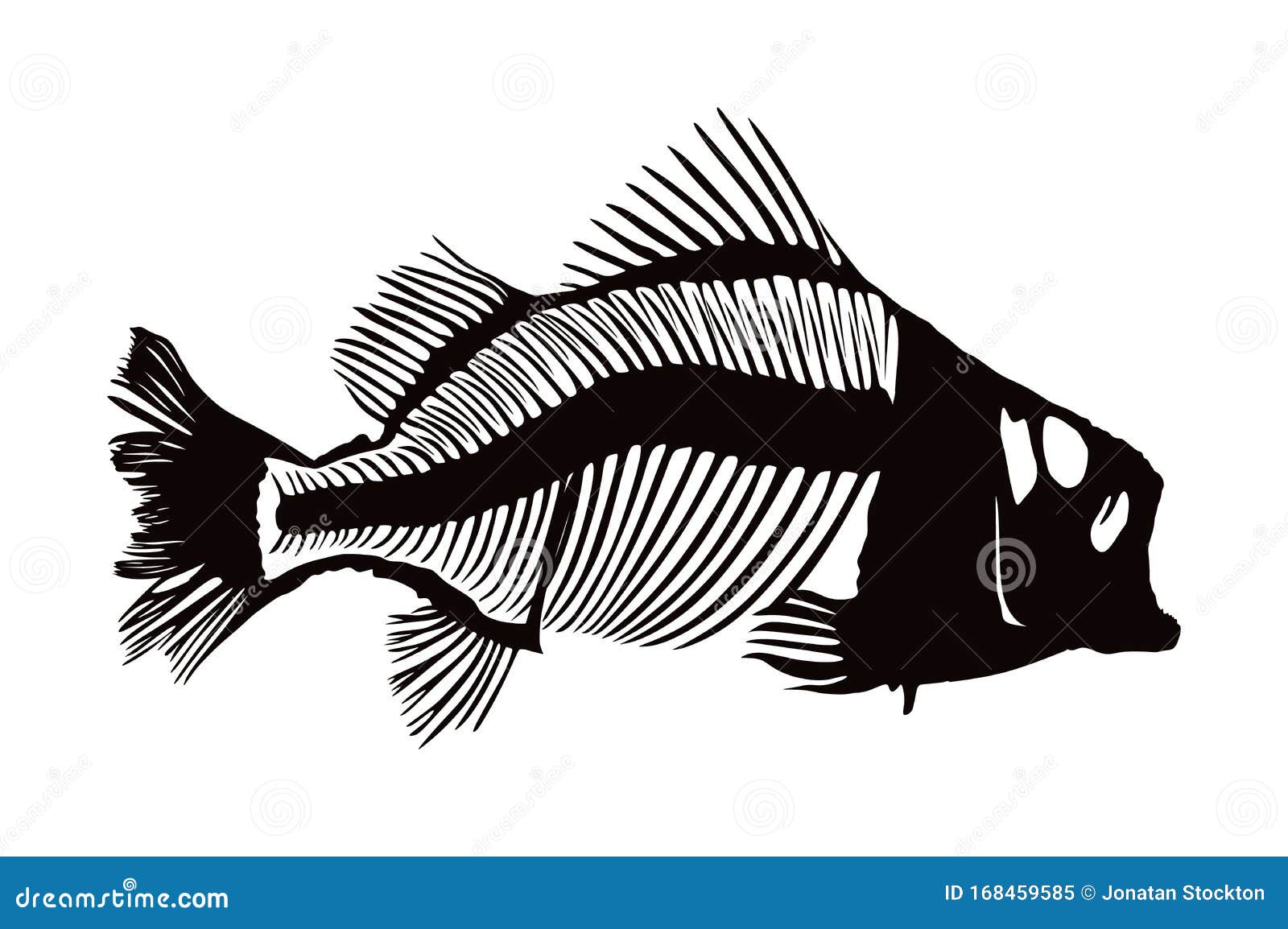 Fishbone Silhouette Icon. Clipart Image Vector Illustration ... Fishbone Silhouette Icon. Clipart Image Vector Illustration ...