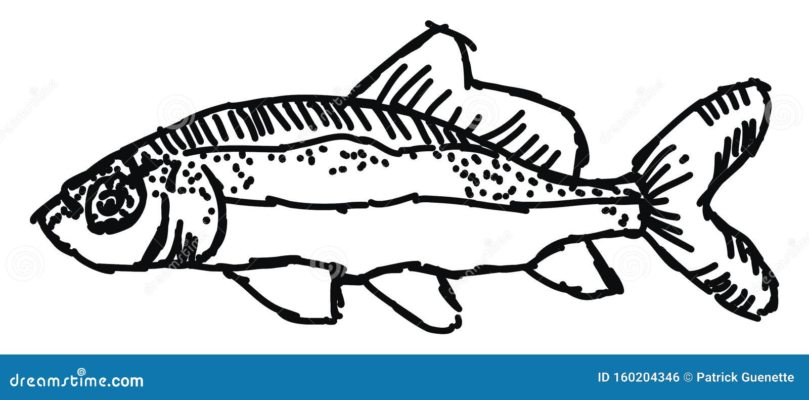 Fish Sketch, Illustration, Vector Stock Vector - Illustration of ...