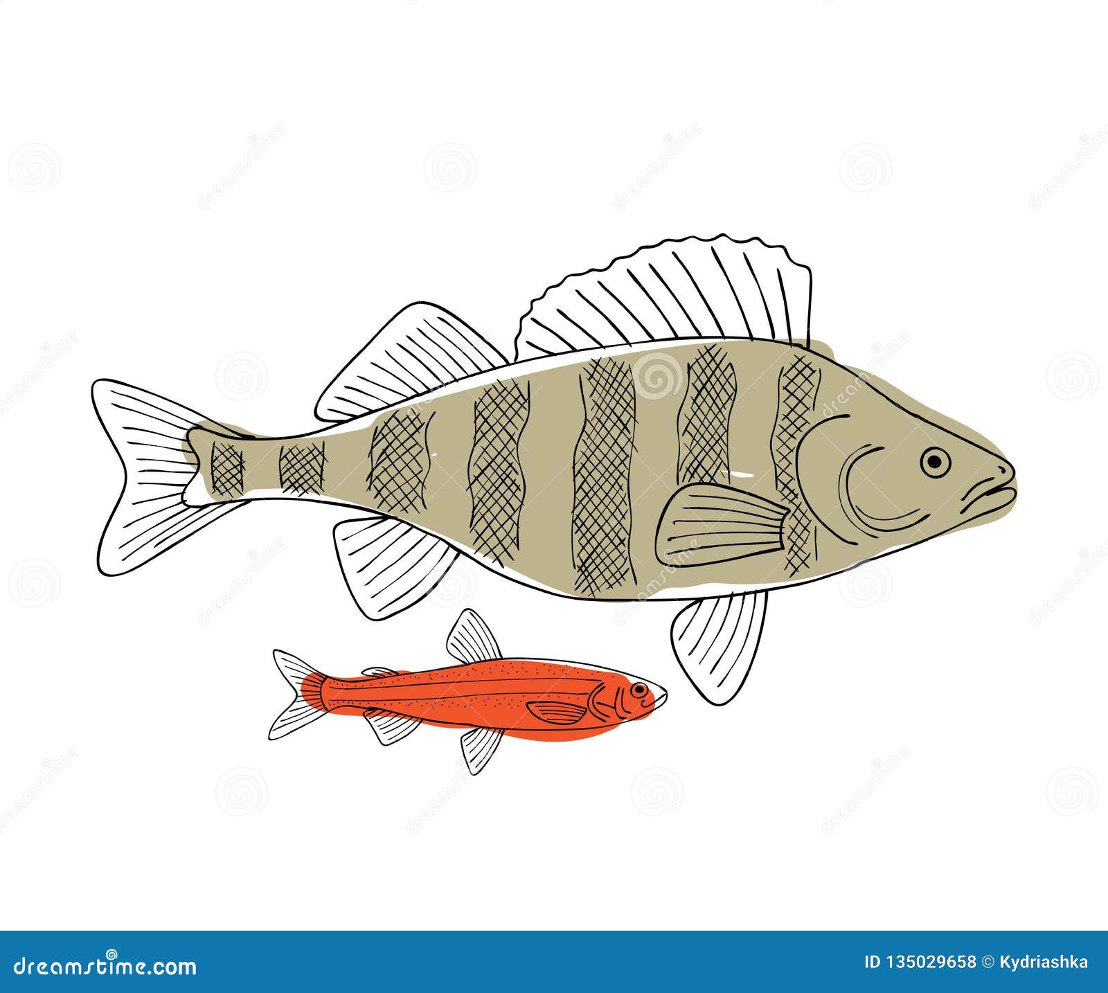 Fish, Sketch for Your Design Stock Vector - Illustration of menu ...