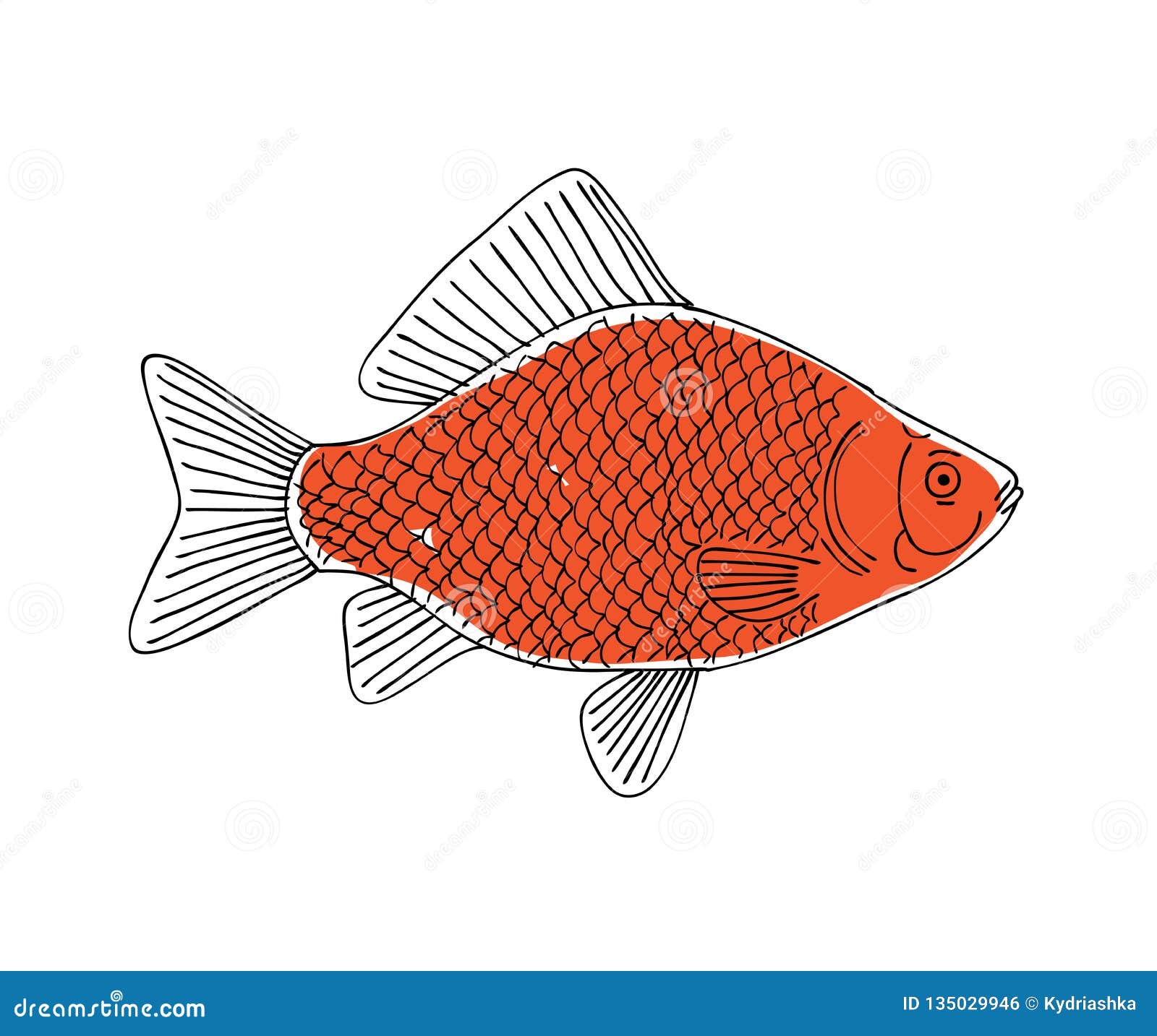 Fish Sketch Doodle Style. Hand Drawing. Fish Coloring Book. Vector ...