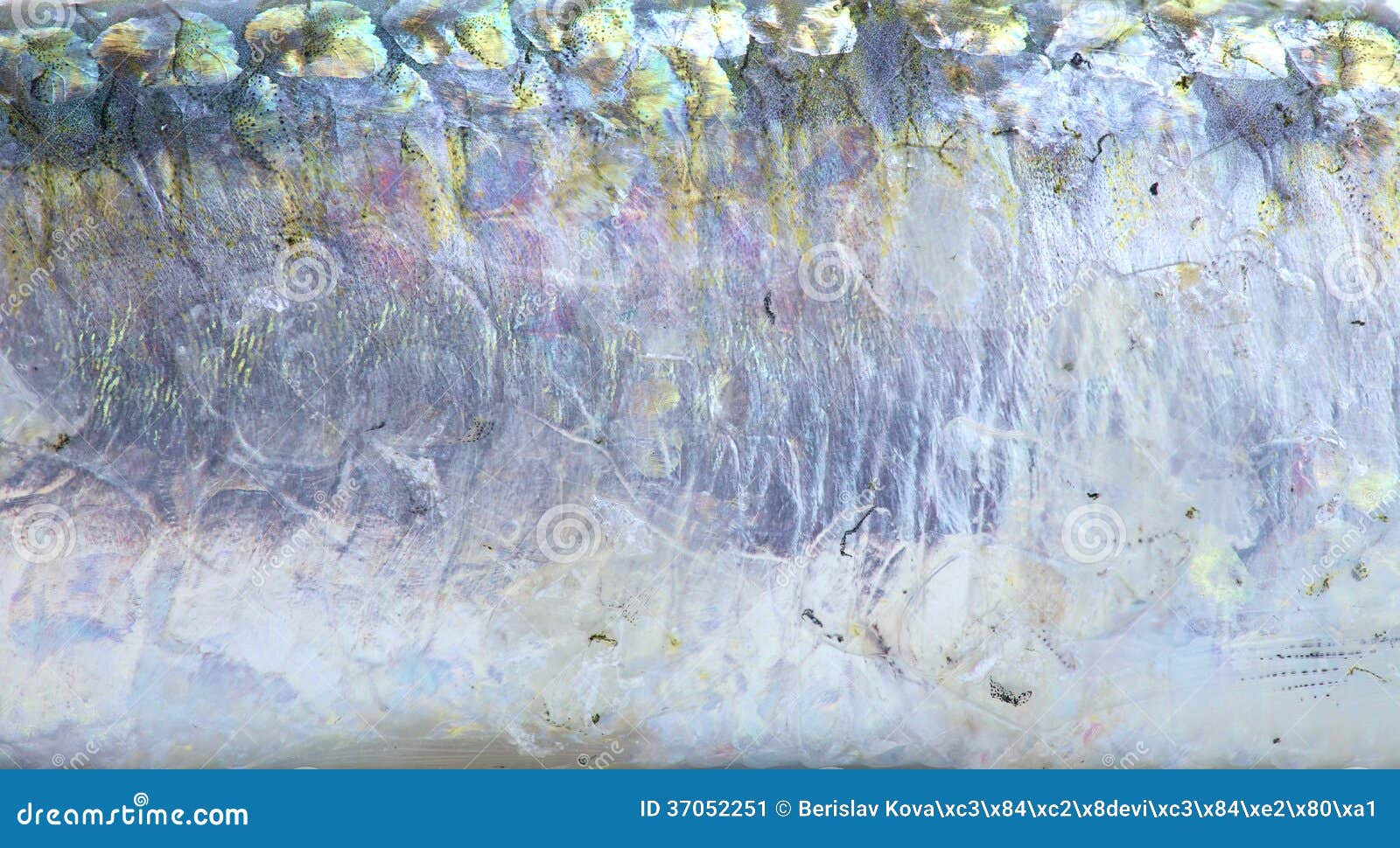 Fish Skin Injured By Chemicals Under The Microscope Stock Photo ...