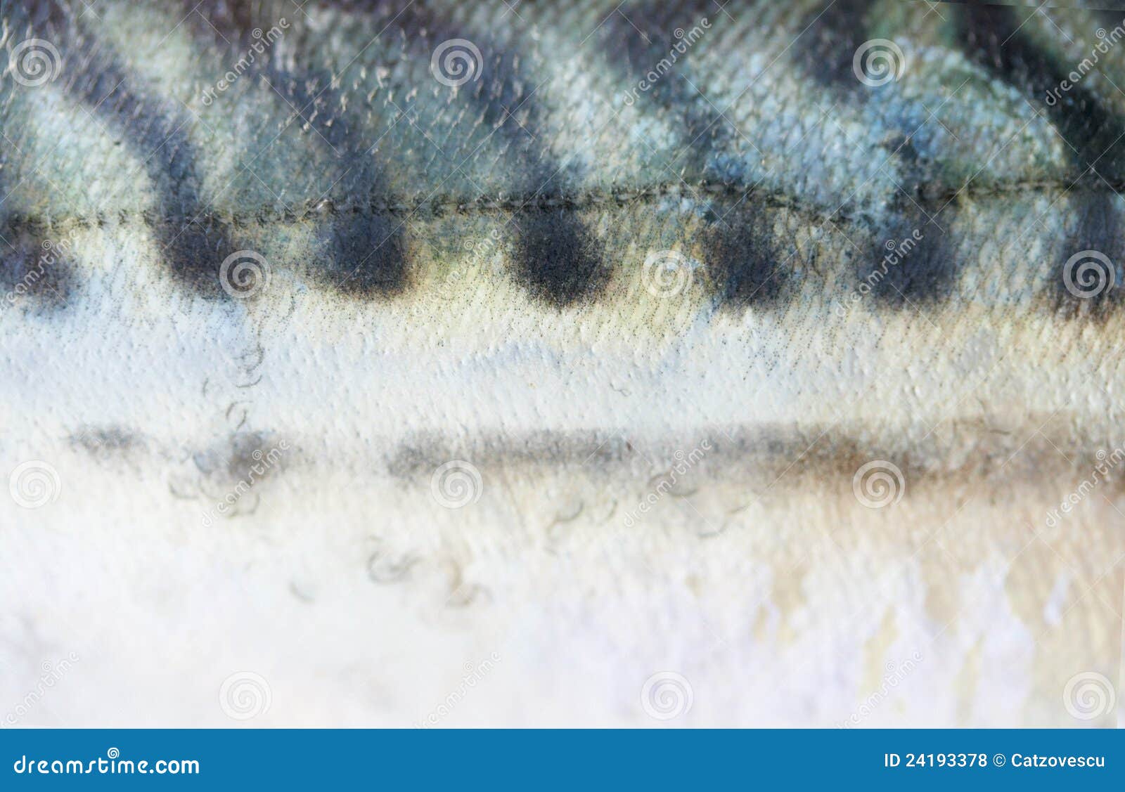 Fish skin texture stock photo. Image of exotic, blue - 24193378