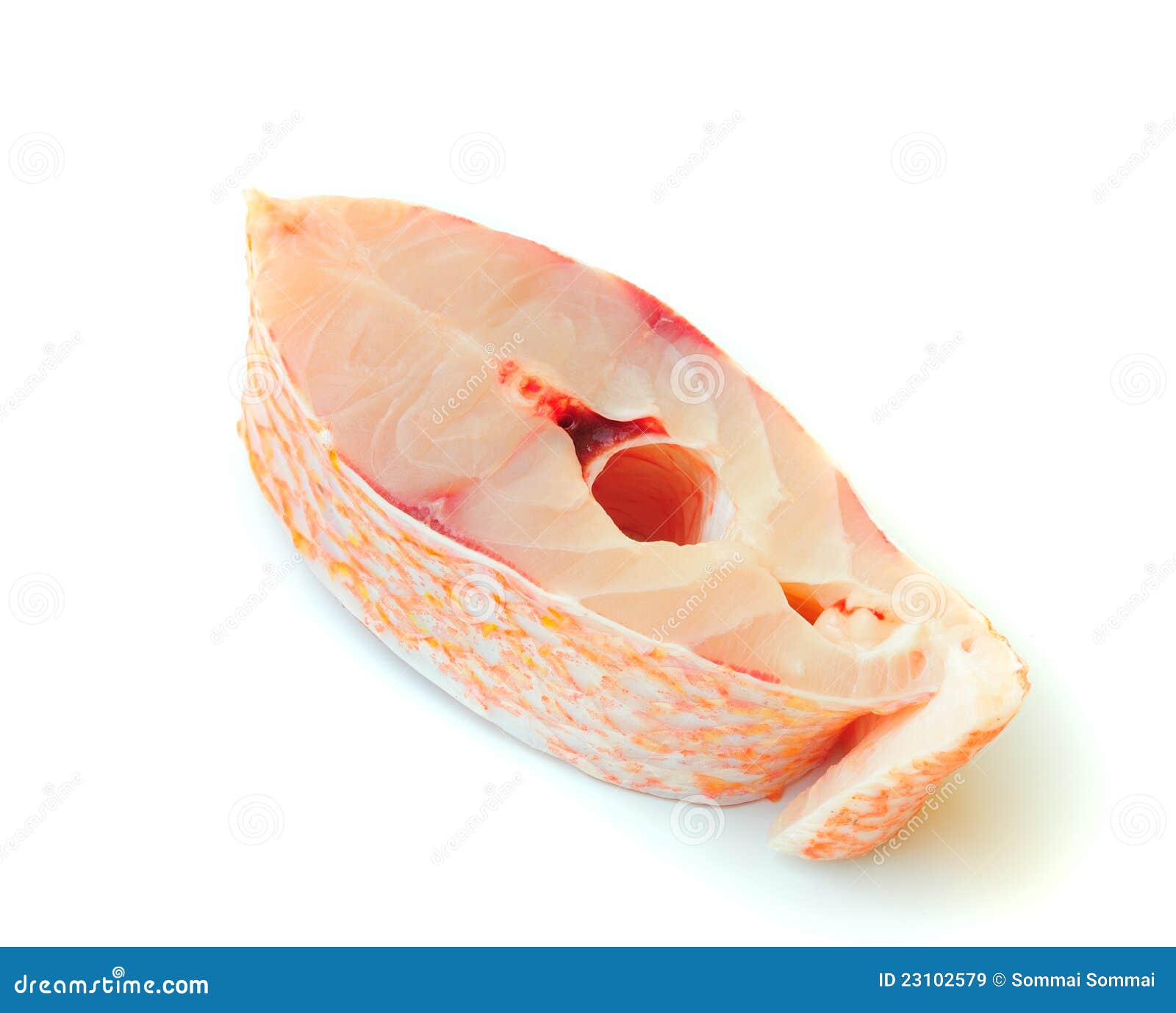 Fish slices stock image. Image of side, fish, healthy - 23102579
