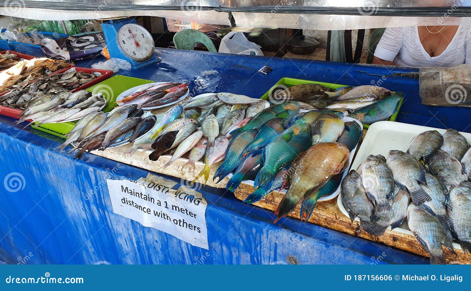 Fish Sold Along Roadside in Bohol, Philippines Stock Photo - Image of ...
