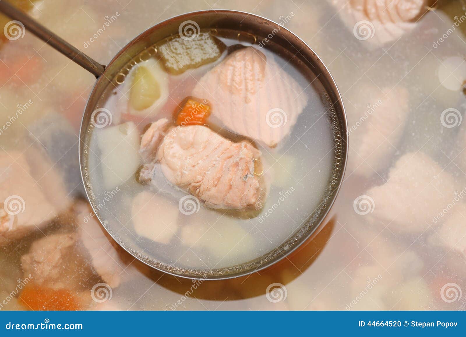 Fish Soup stock photo. Image of ladle, carrot, soup, savory - 44664520